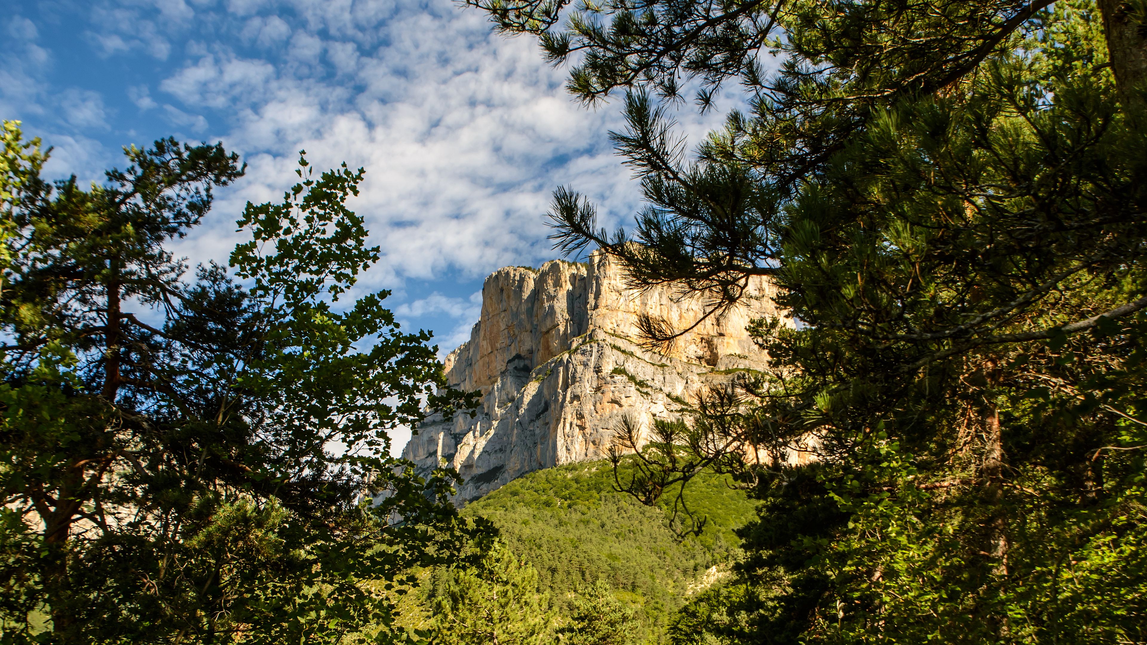 rock, cliff, path, forest, 4k HD Wallpaper