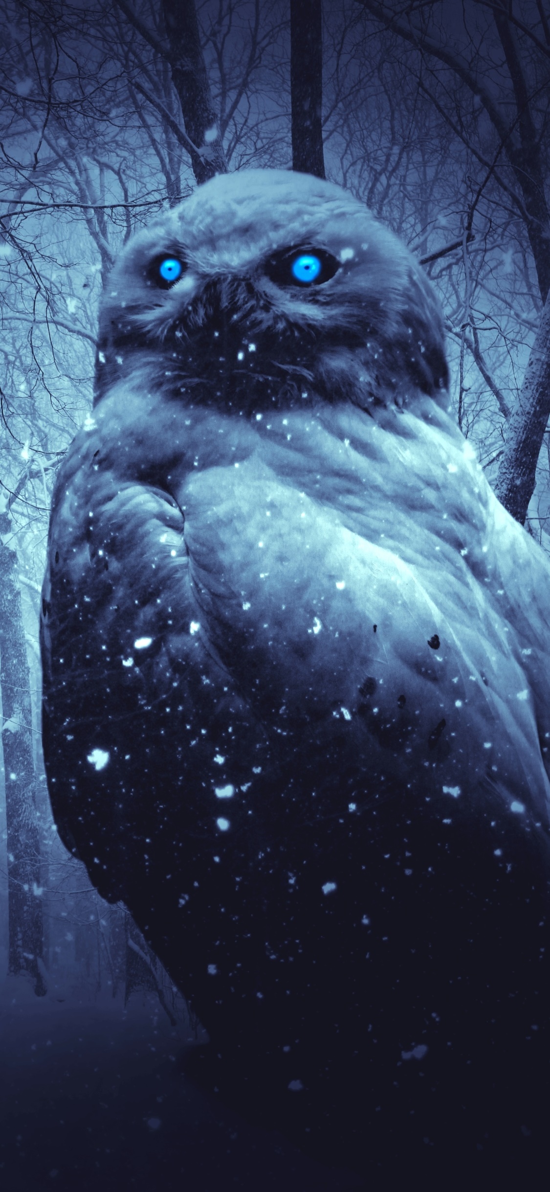 «OWL PHONE WALLPAPER» HD wallpapers