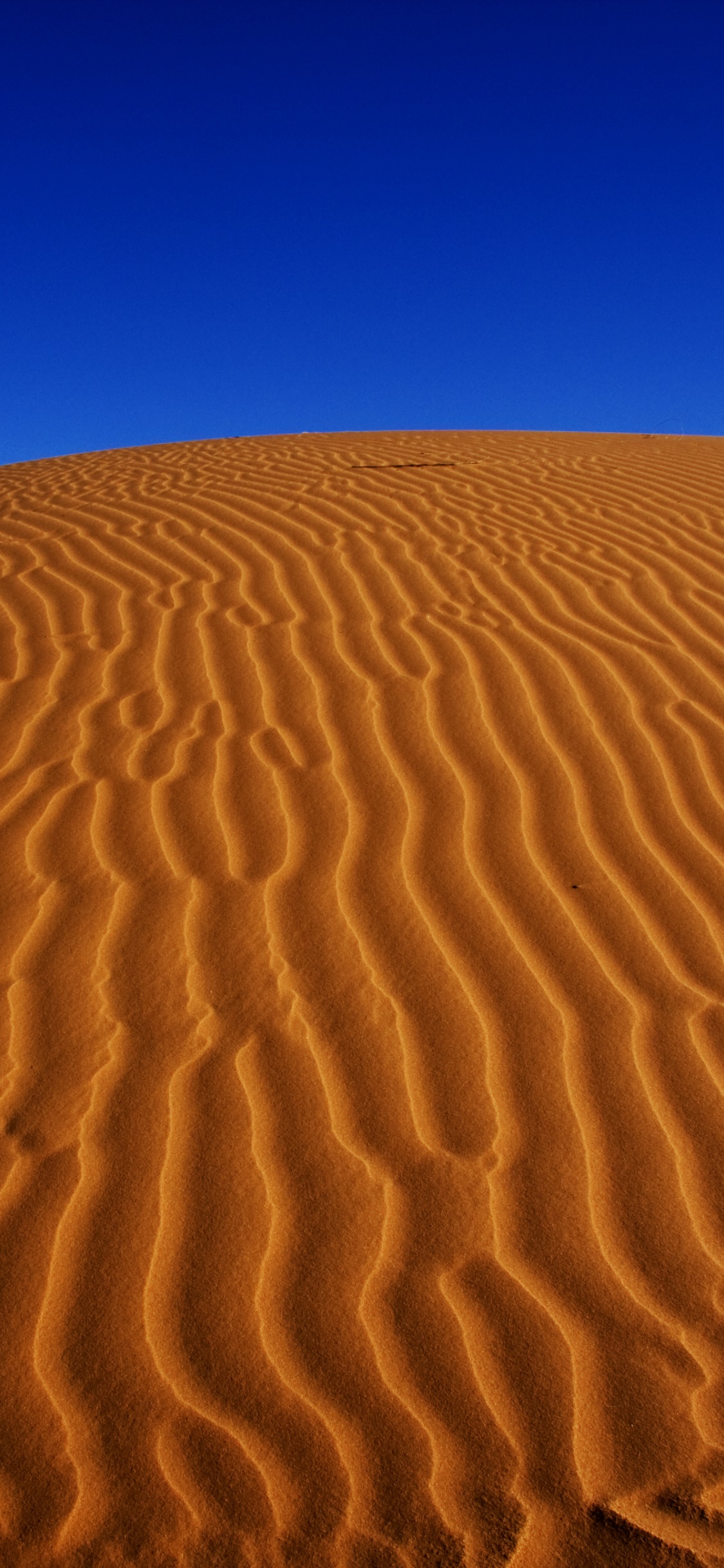 Earth Desert, Dune, Sky, Sand, Africa, Sahara, 1125x2436 Phone HD Wallpaper