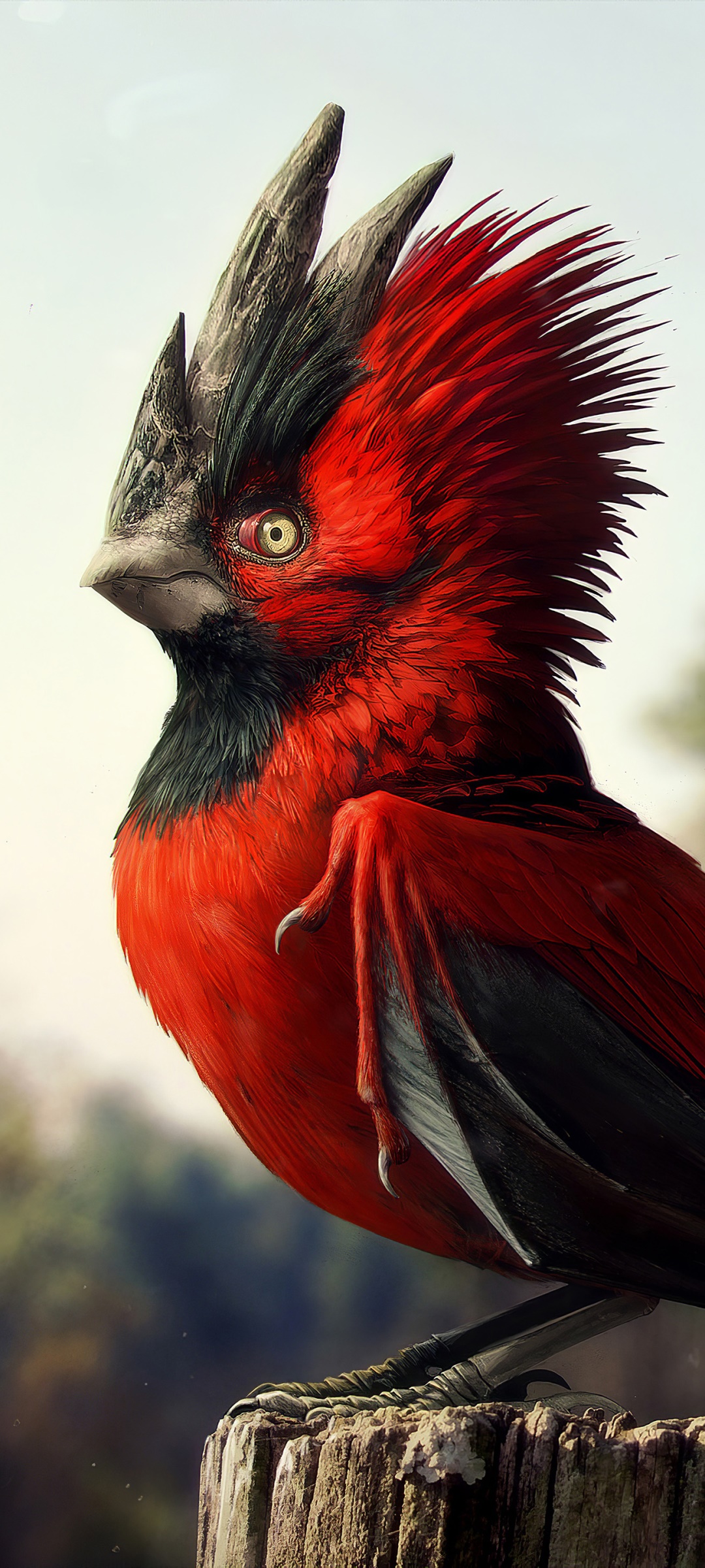 «Bird phone wallpaper» 1080P, 2k, 4k Full HD Wallpapers, Backgrounds ...