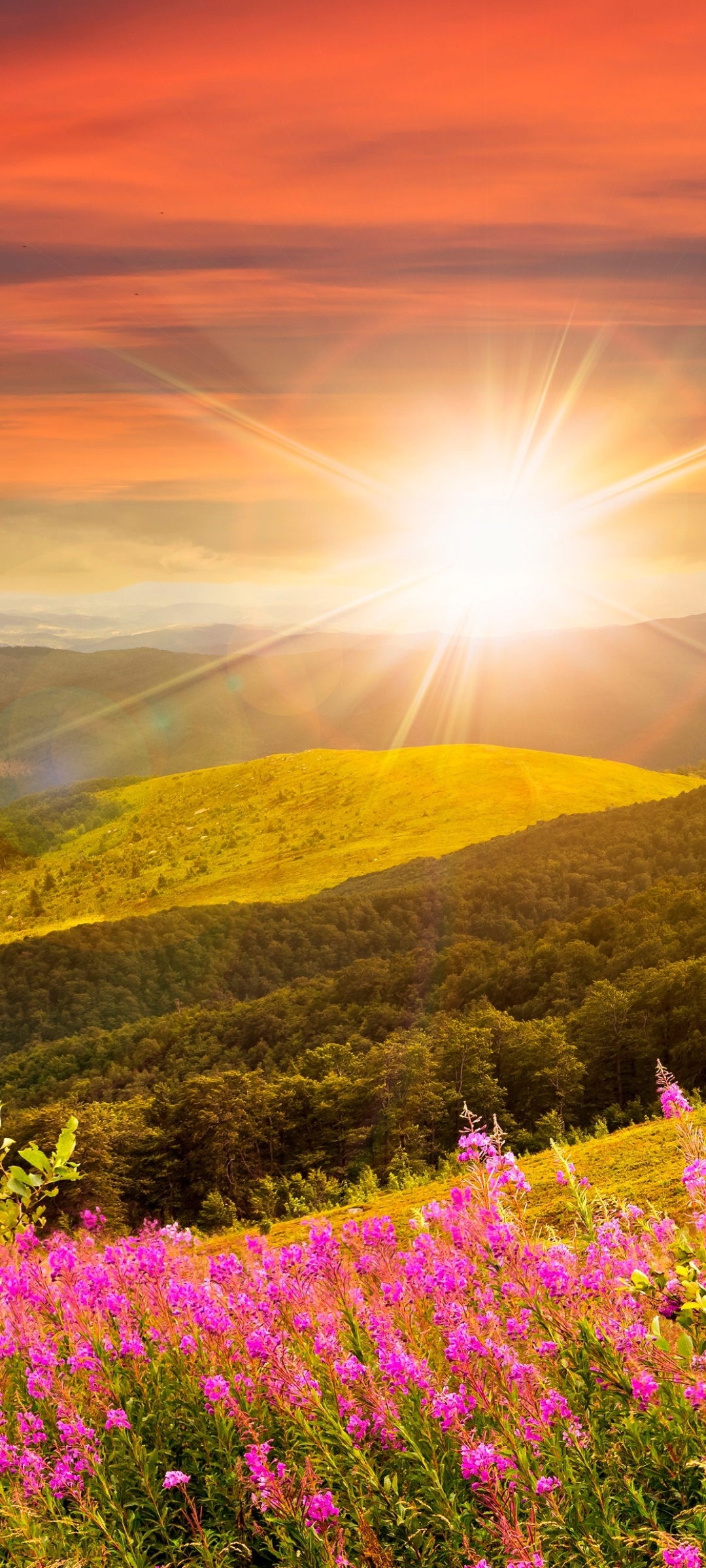 «Landscape phone wallpaper» 1080P, 2k, 4k Full HD Wallpapers ...