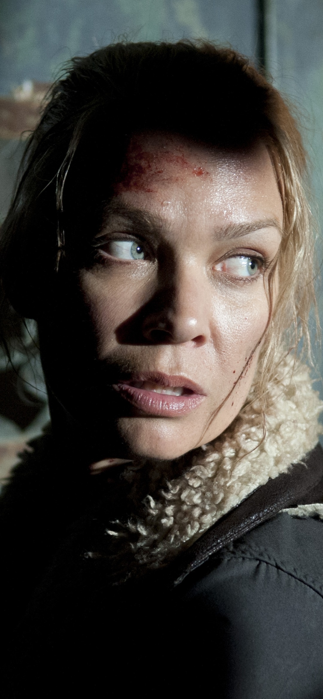 TV Show The Walking Dead, Laurie Holden, Andrea (The Walking Dead ...