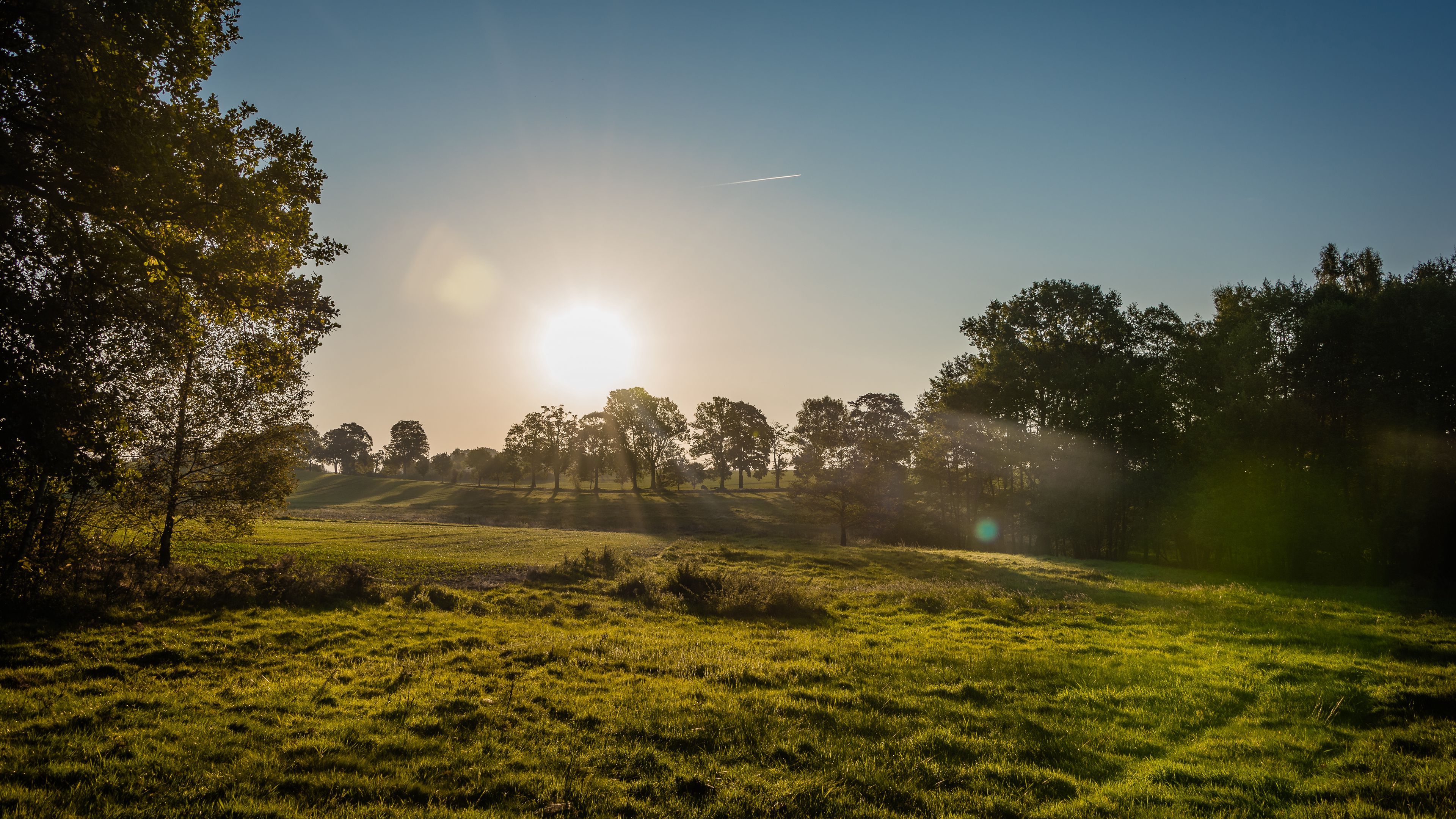 Lawn, Sun, Glare, Summer, Nature, 4K Hd Wallpaper