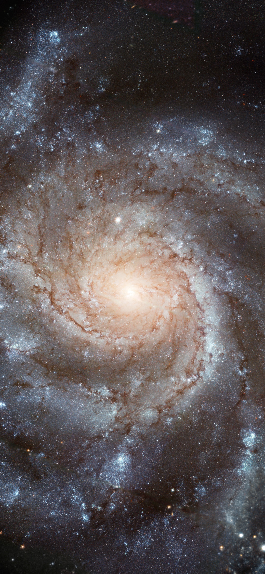 «Galaxy phone wallpaper» HD Wallpapers
