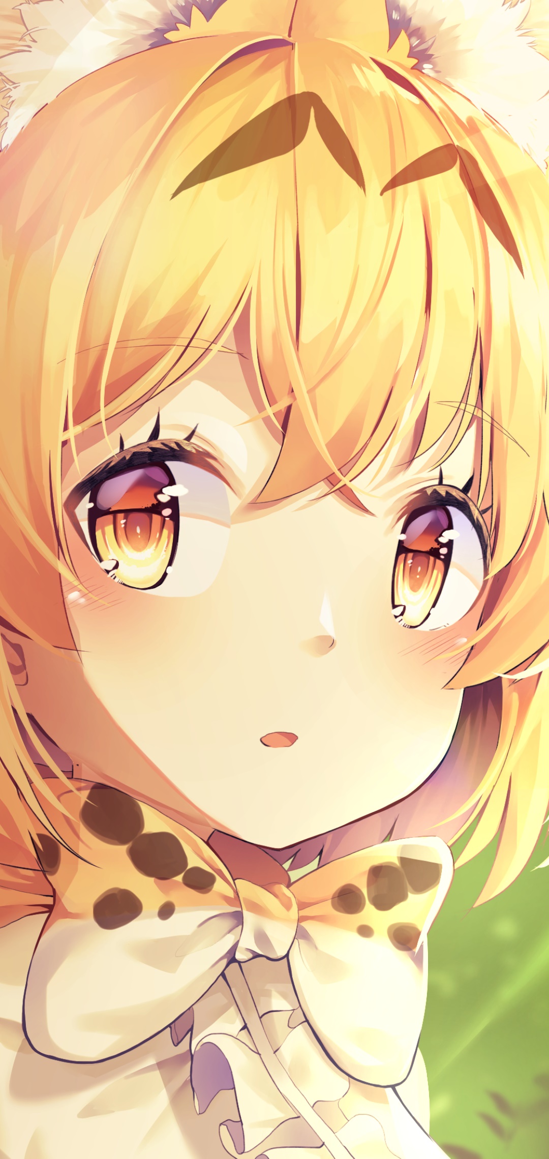 Anime Kemono Friends, Serval (Kemono Friends), Cat Girl, 1080x2280 ...