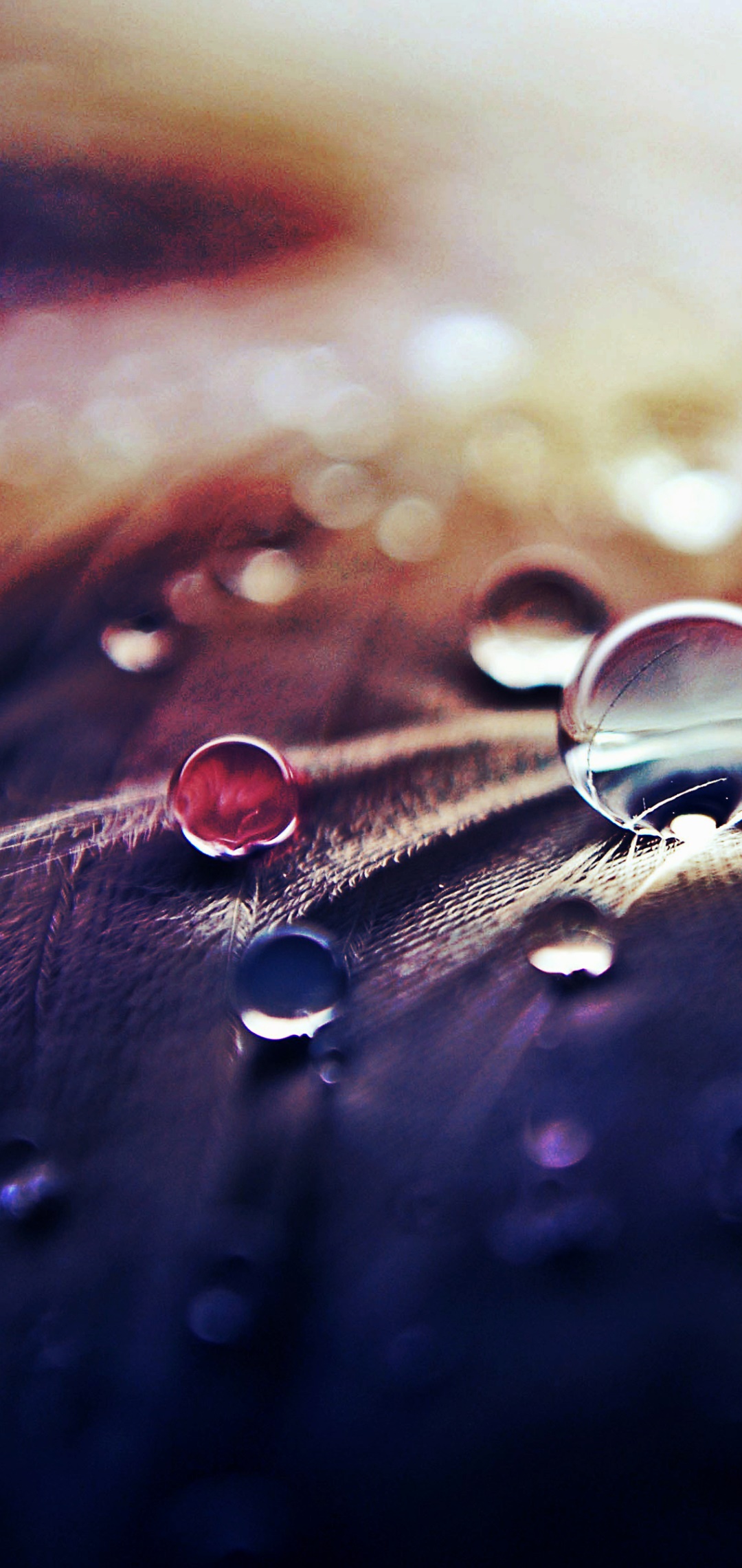 «Water Drop phone wallpaper» 1080P, 2k, 4k Full HD Wallpapers ...