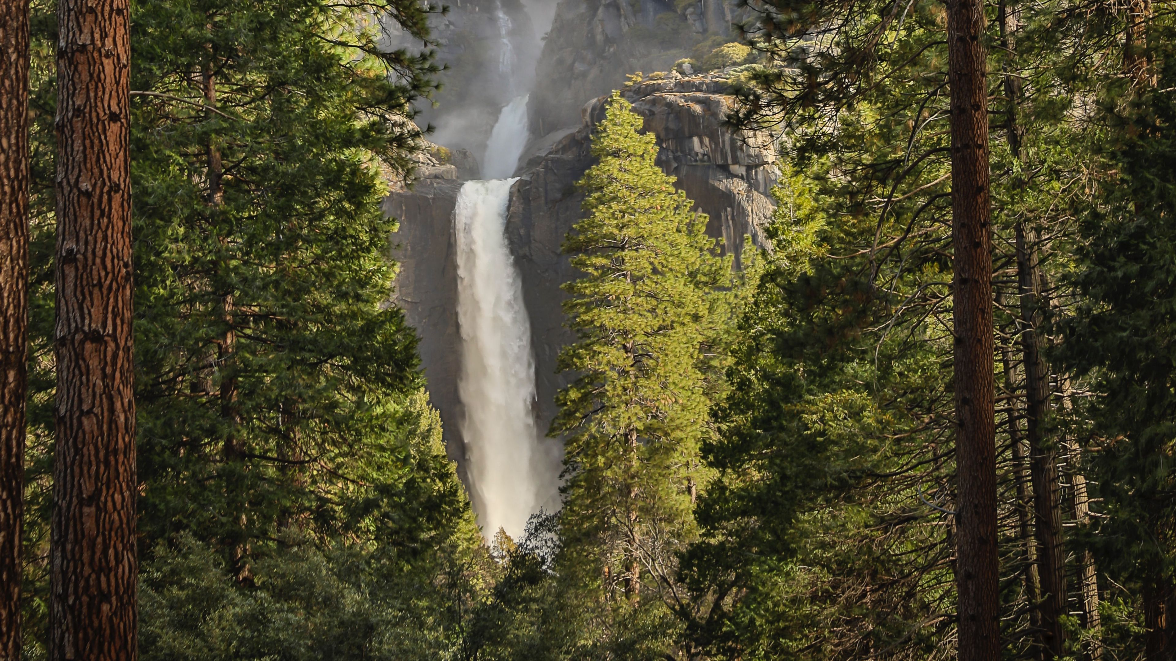 waterfall, trees, spruce, cliff, 4k HD Wallpaper