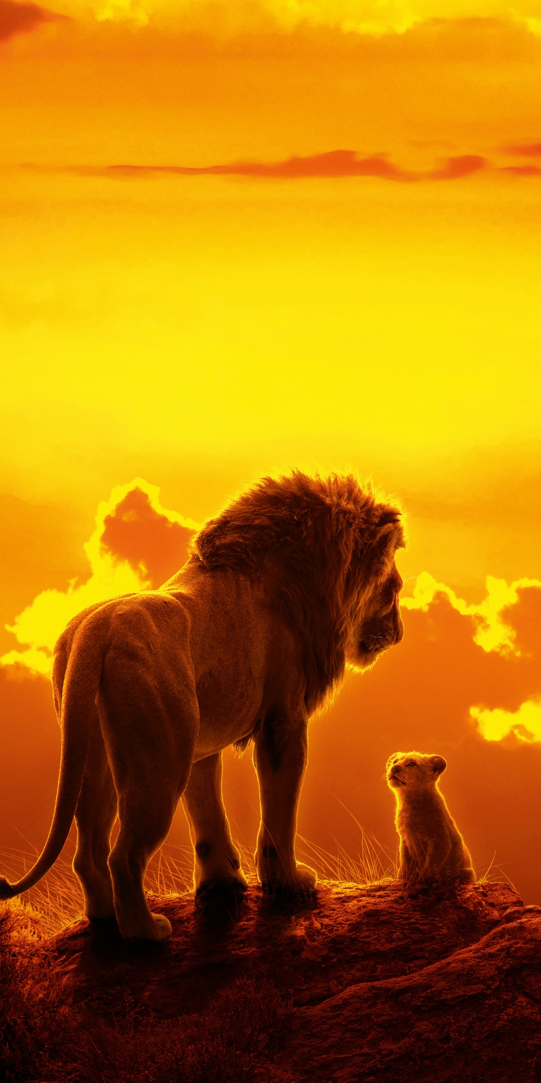 Movie The Lion King (2019), Lion, Baby Animal, Mufasa (The Lion King ...