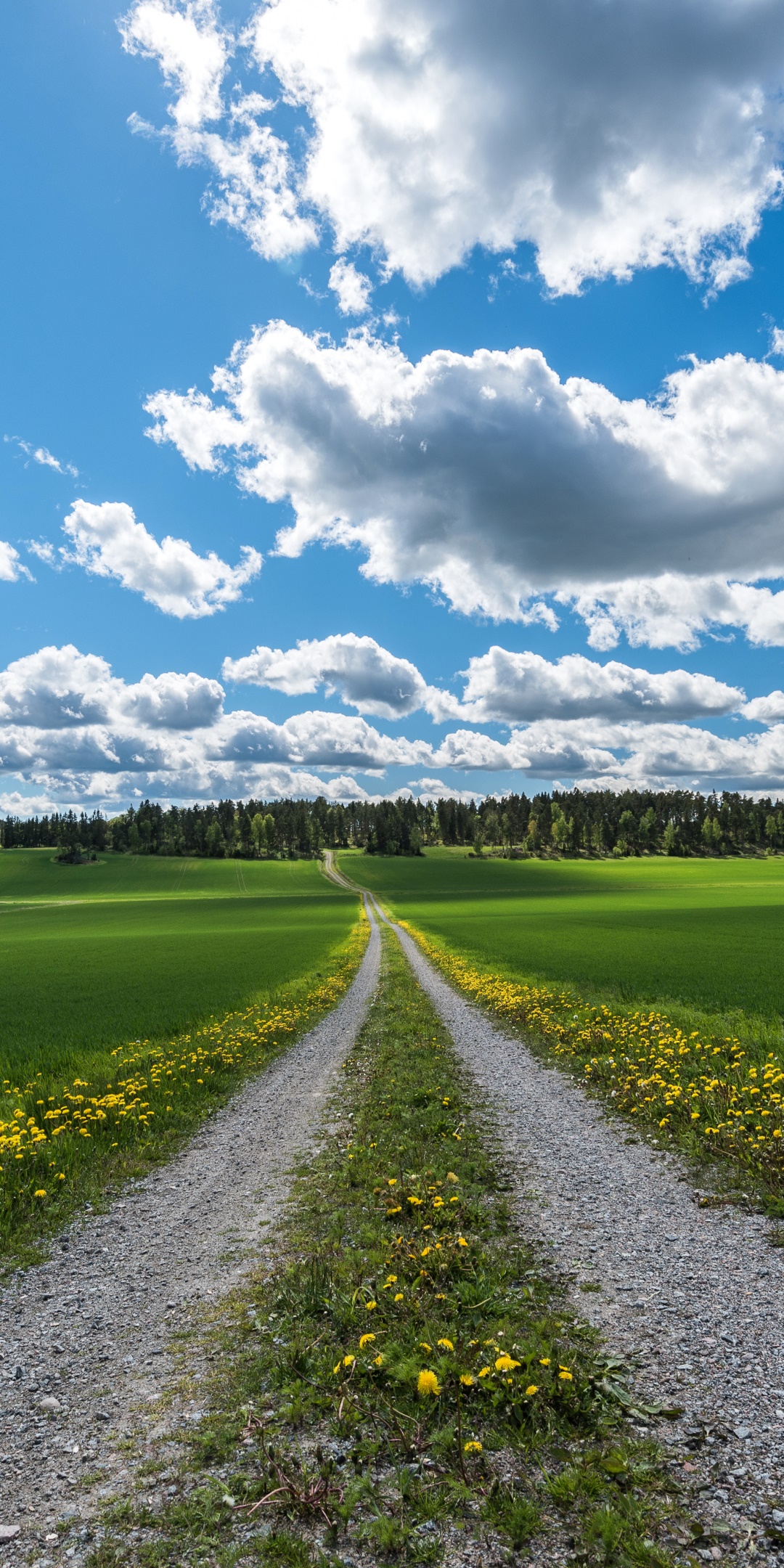 Man Made Road, Dirt Road, Cloud, Landscape, Field, Sky, 1080x2160 Phone ...