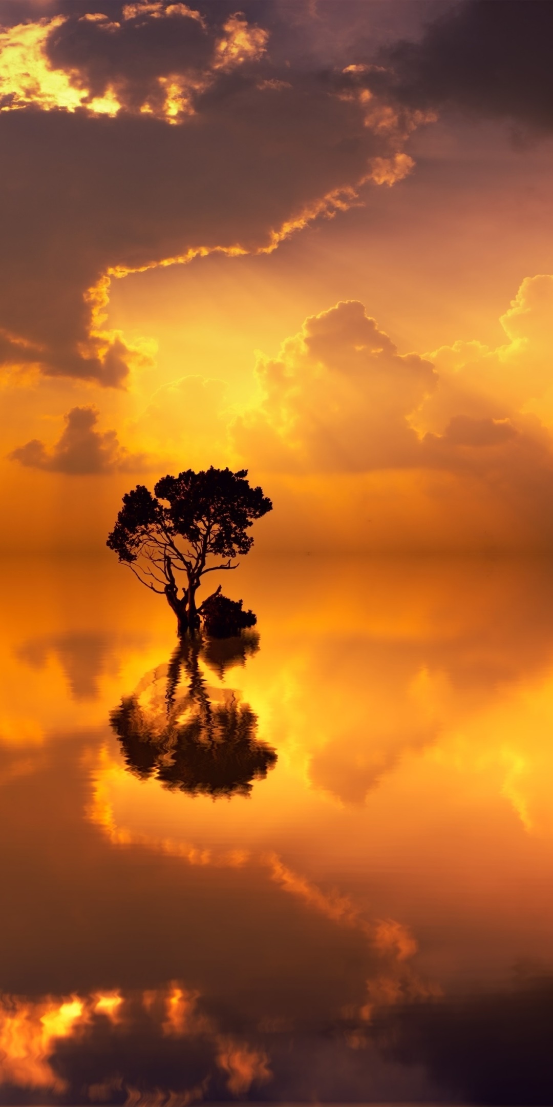 «Reflection phone wallpaper» HD Wallpapers