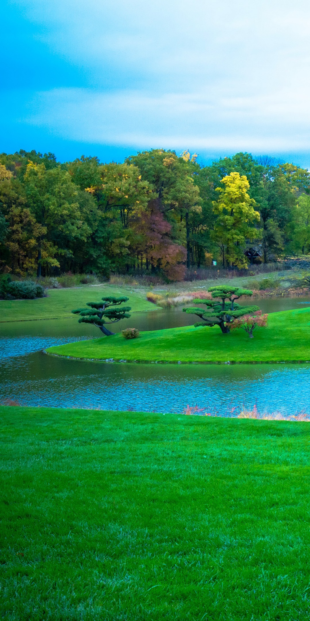 Photography Park, Green, Tree, Spring, 1080x2160 Phone HD Wallpaper