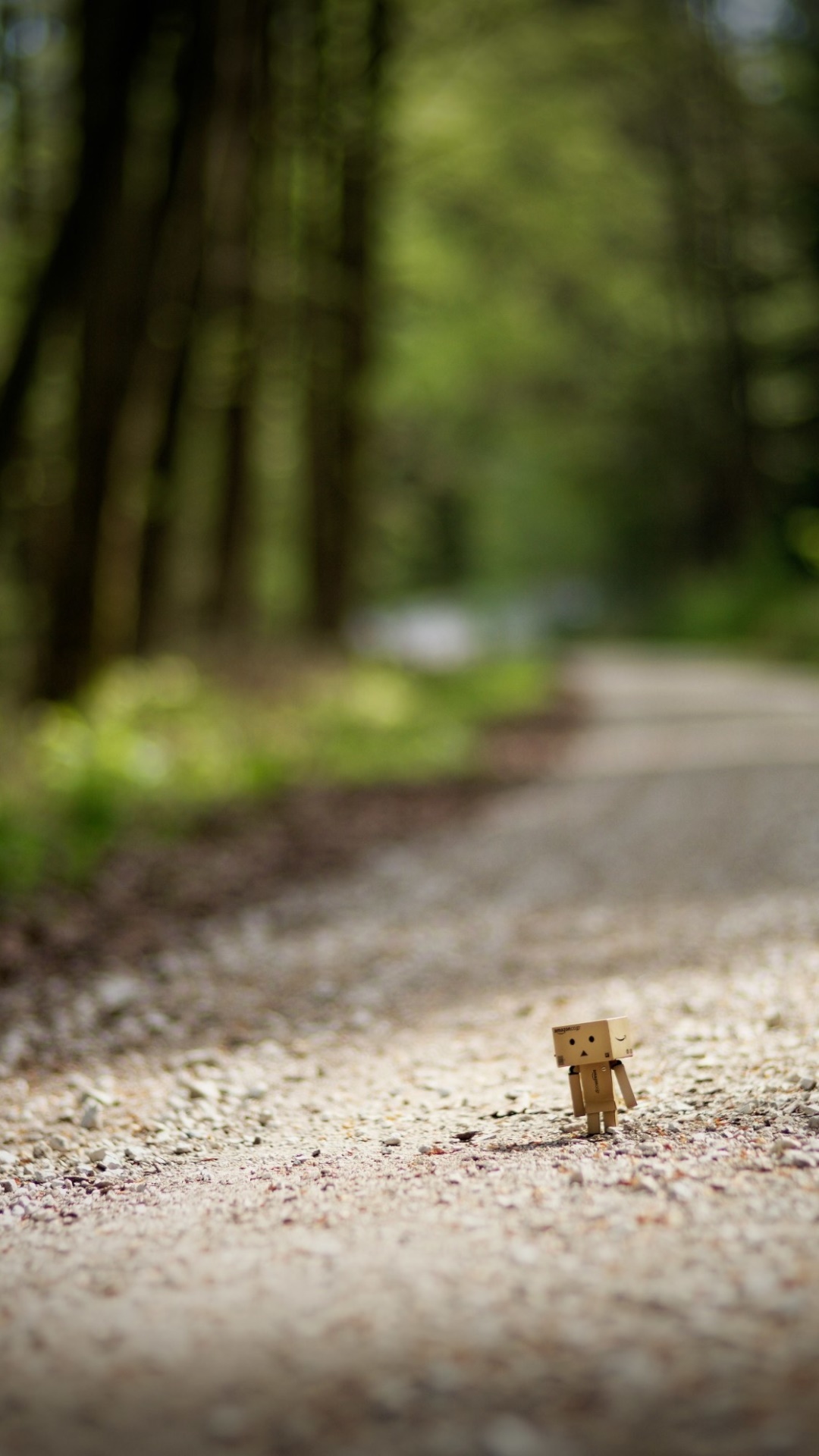 Misc Danbo, Dirt Road, Depth Of Field, 1080x1920 Phone HD Wallpaper
