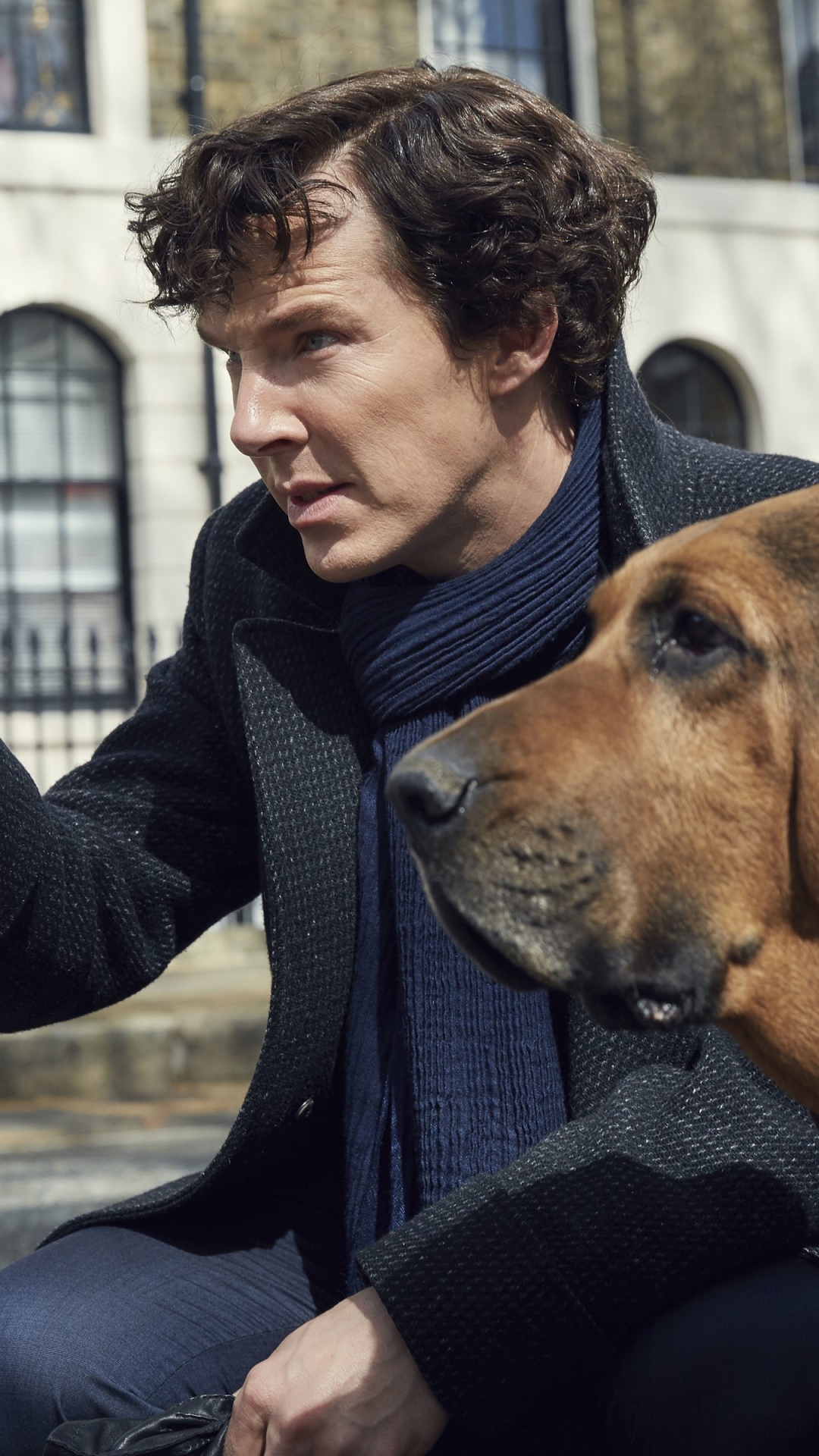Sherlock Holmes Benedict Wallpaper