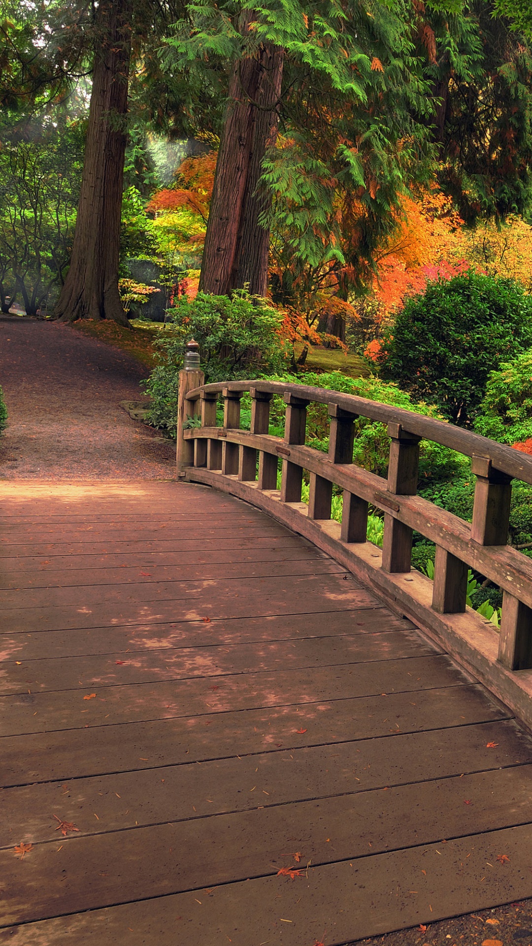 Photography Park, 1080x1920 Phone HD Wallpaper
