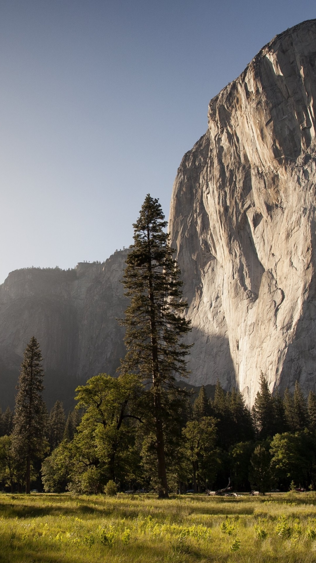 Earth Cliff, Nature, Tree, Landscape, 1080x1920 Phone HD Wallpaper