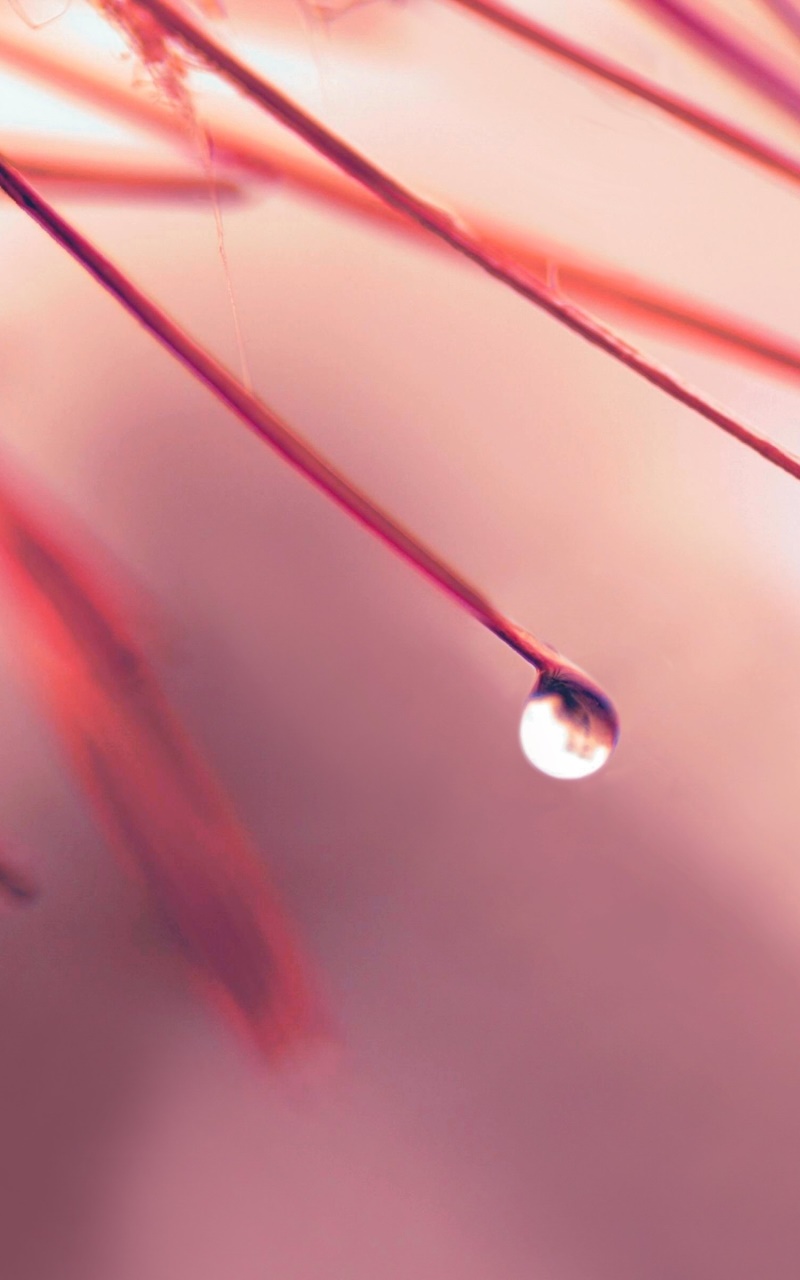 «Water Drop phone wallpaper» HD Wallpapers