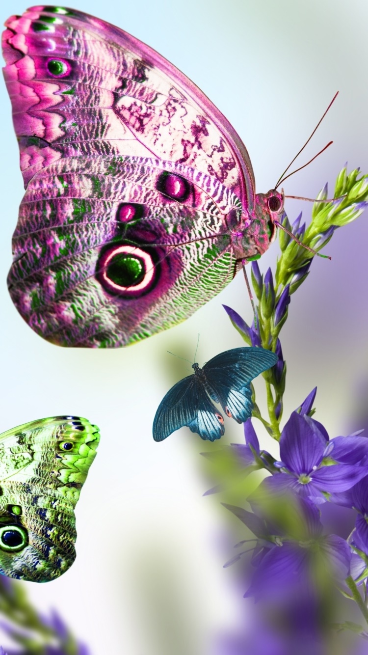 «Butterfly phone wallpaper» HD Wallpapers » Page 2