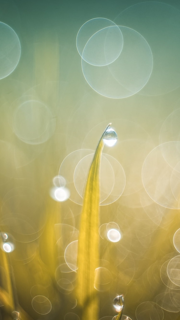 «Water Drop phone wallpaper» 1080P, 2k, 4k Full HD Wallpapers ...