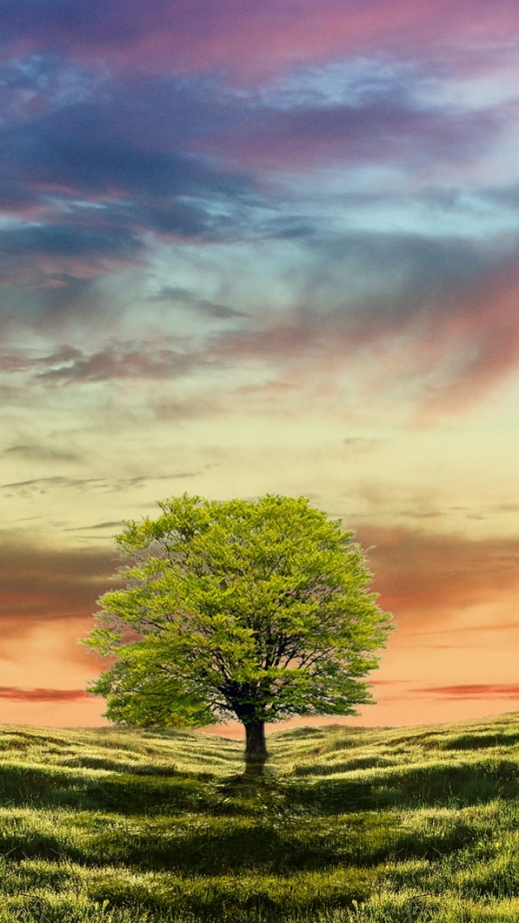 Earth Tree, 750x1334 Phone HD Wallpaper