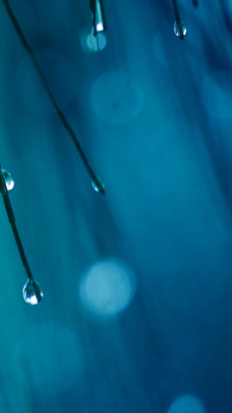 Earth Water Drop, 750x1334 Phone HD Wallpaper