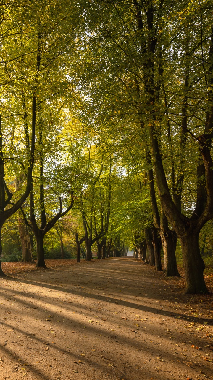 Photography Park, Path, Nature, 720x1280 Phone HD Wallpaper