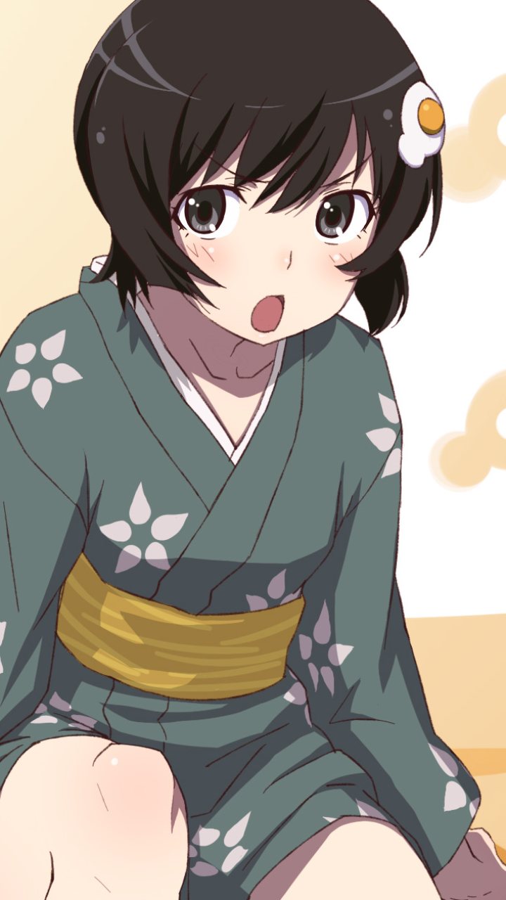 Anime Monogatari (Series), Bakemonogatari, Tsukihi Araragi, 720x1280 ...