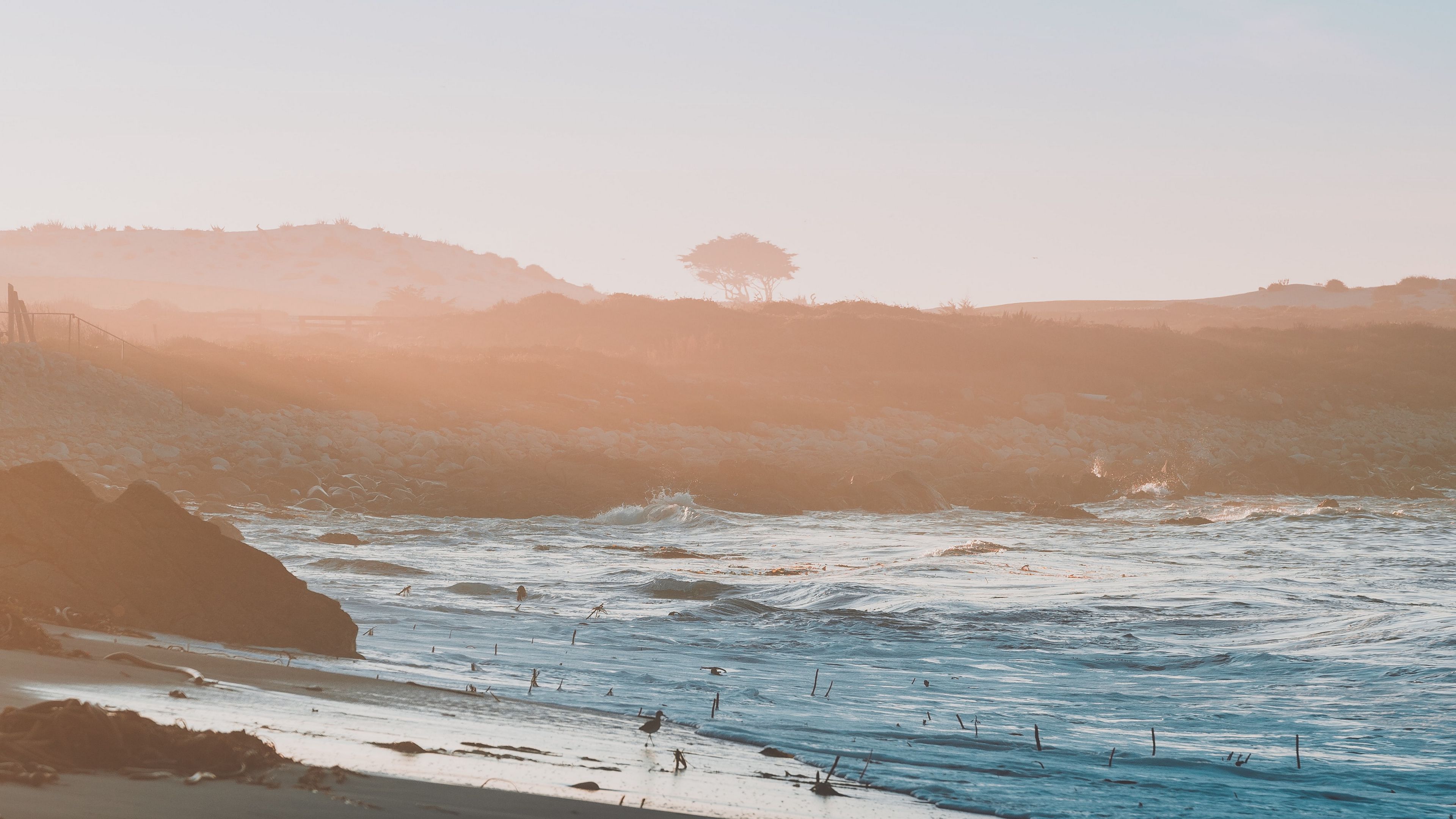 beach, sand, coast, 4k HD Wallpaper