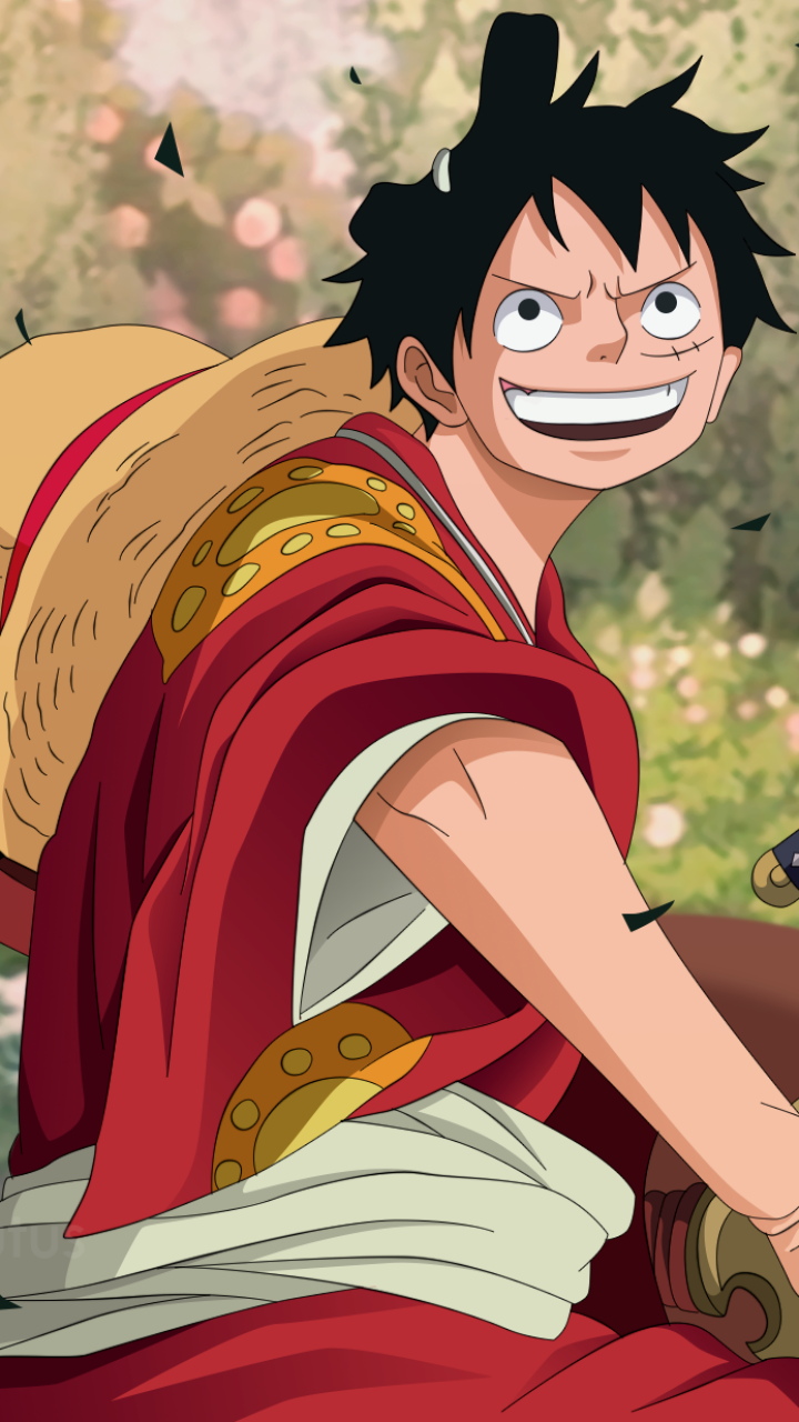 Anime One Piece, Monkey D. Luffy, 720x1280 Phone HD Wallpaper