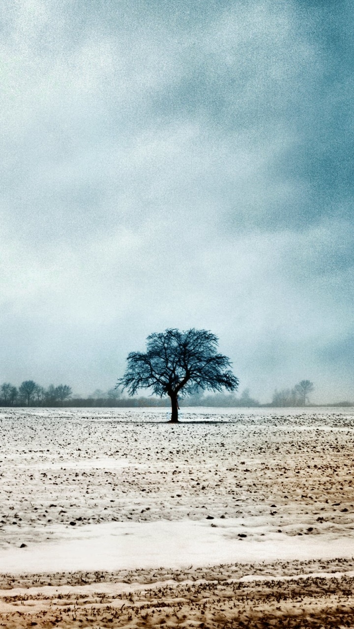 Earth Tree, Nature, Winter, 720x1280 Phone HD Wallpaper