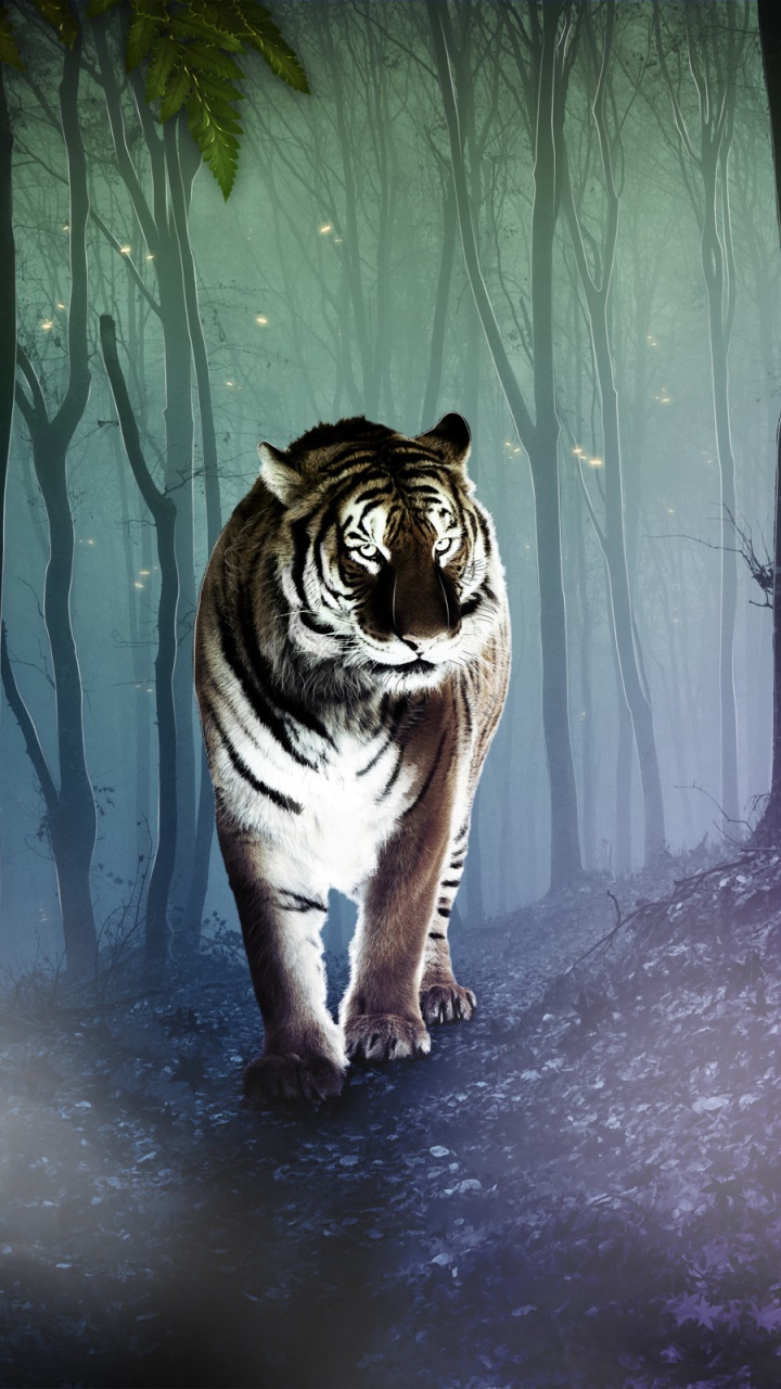 Animal Tiger, Cgi, Fantasy, 720X1280 Phone Hd Wallpaper