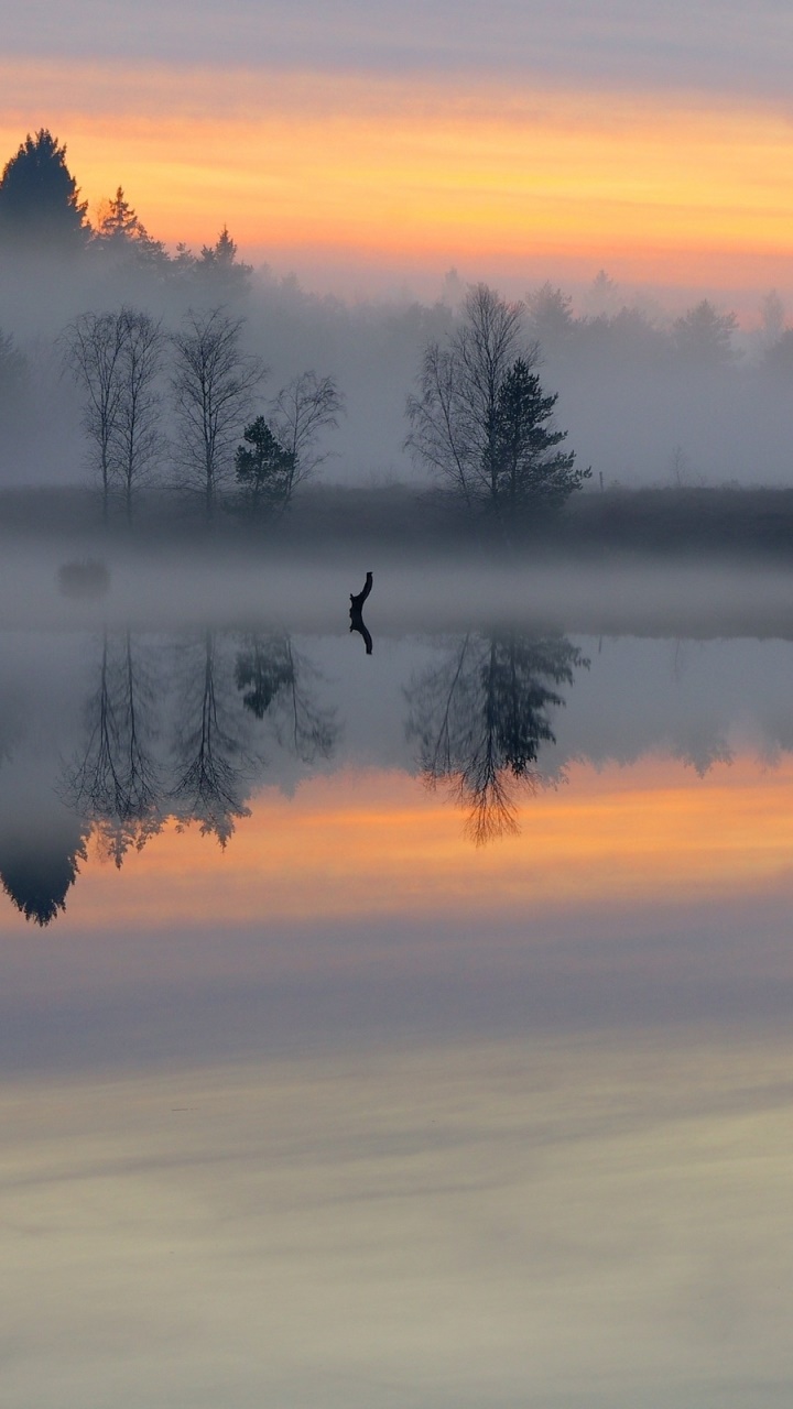 «Reflection phone wallpaper» 1080P, 2k, 4k Full HD Wallpapers ...