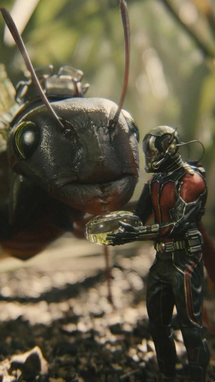 «Ant-Man phone wallpaper» 1080P, 2k, 4k Full HD Wallpapers, Backgrounds ...