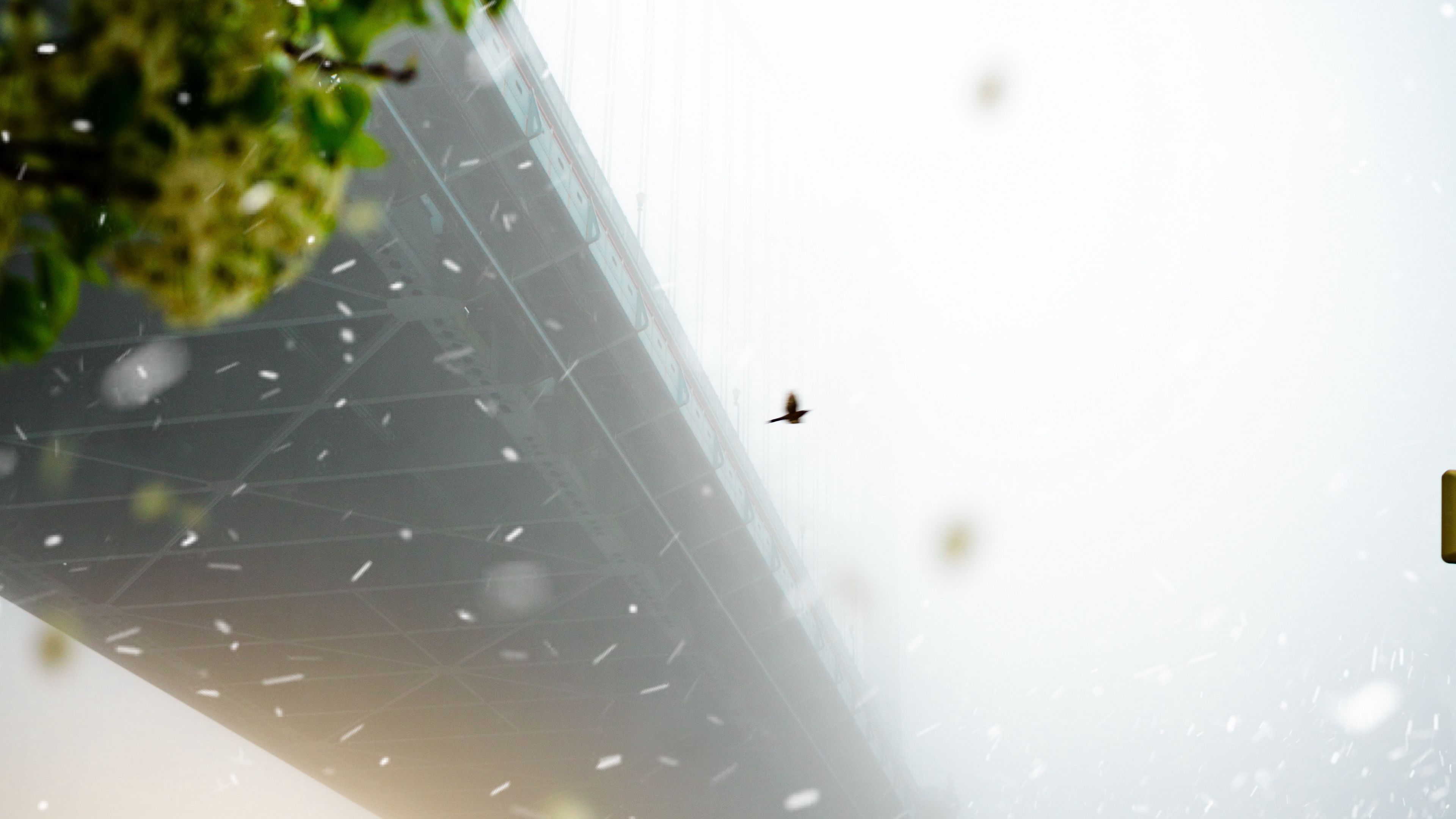 bridge, blizzard, fog, bird, 4k HD Wallpaper