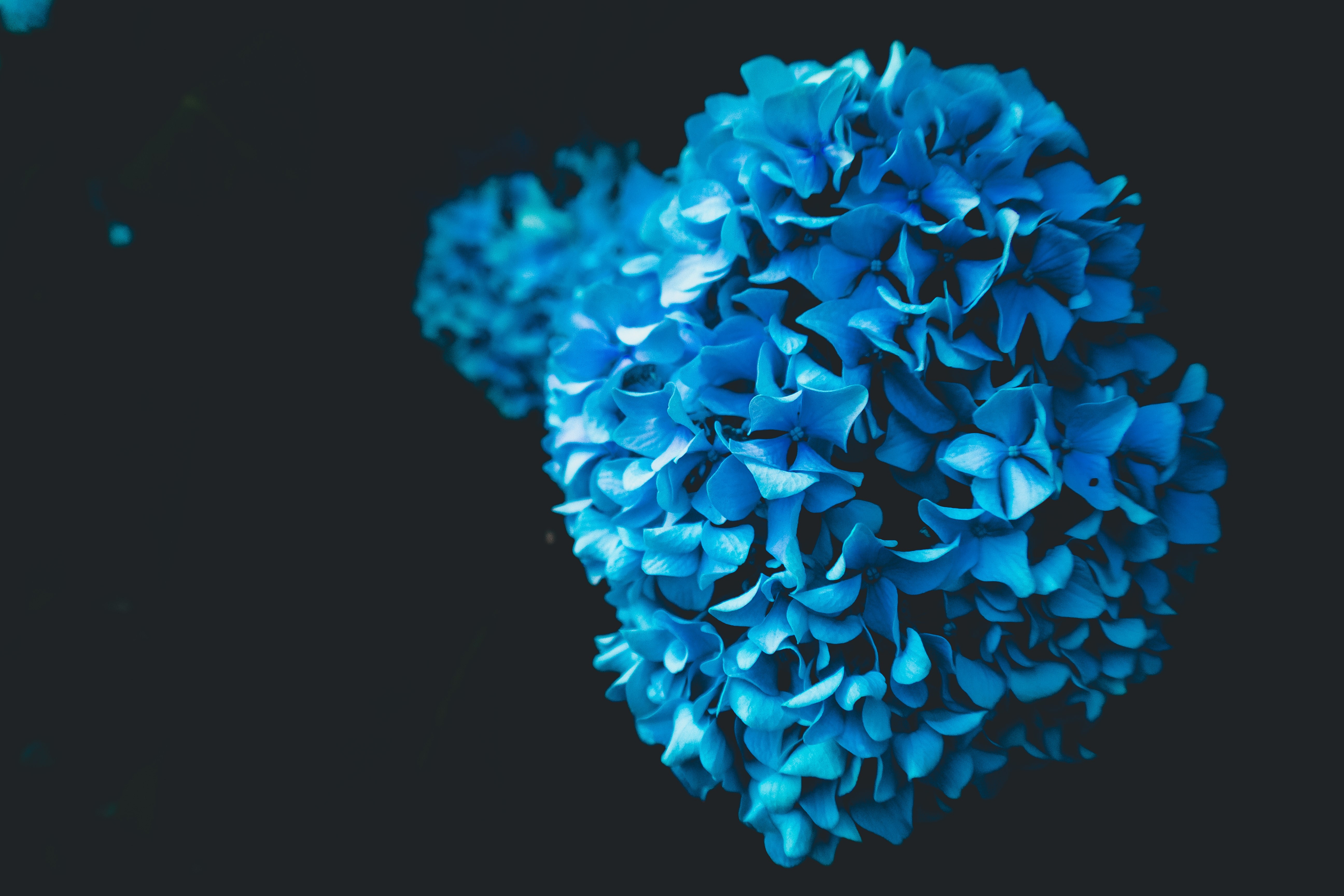 «OLED» HD wallpapers