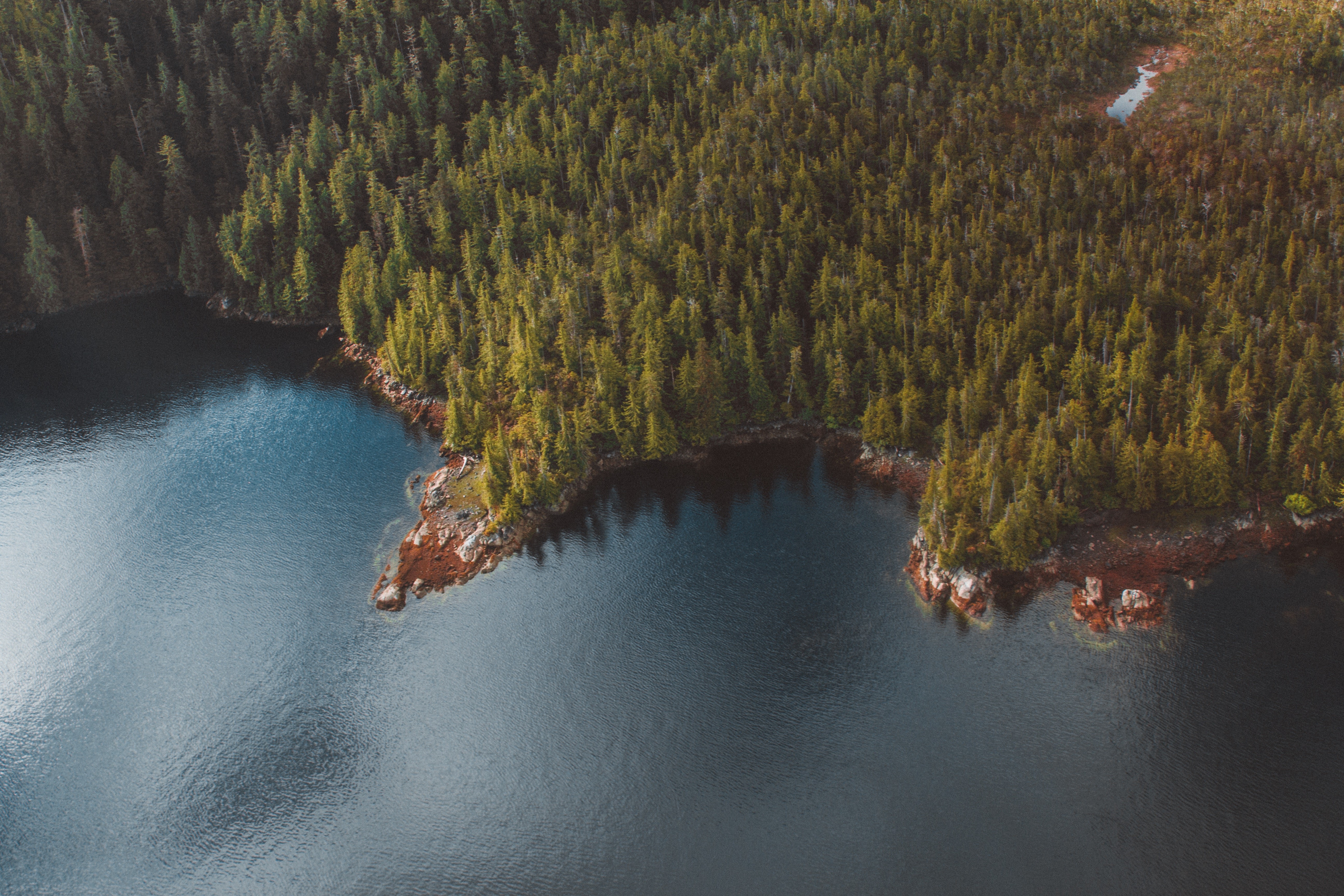 lake, forest, aerial view, 4k HD Wallpaper