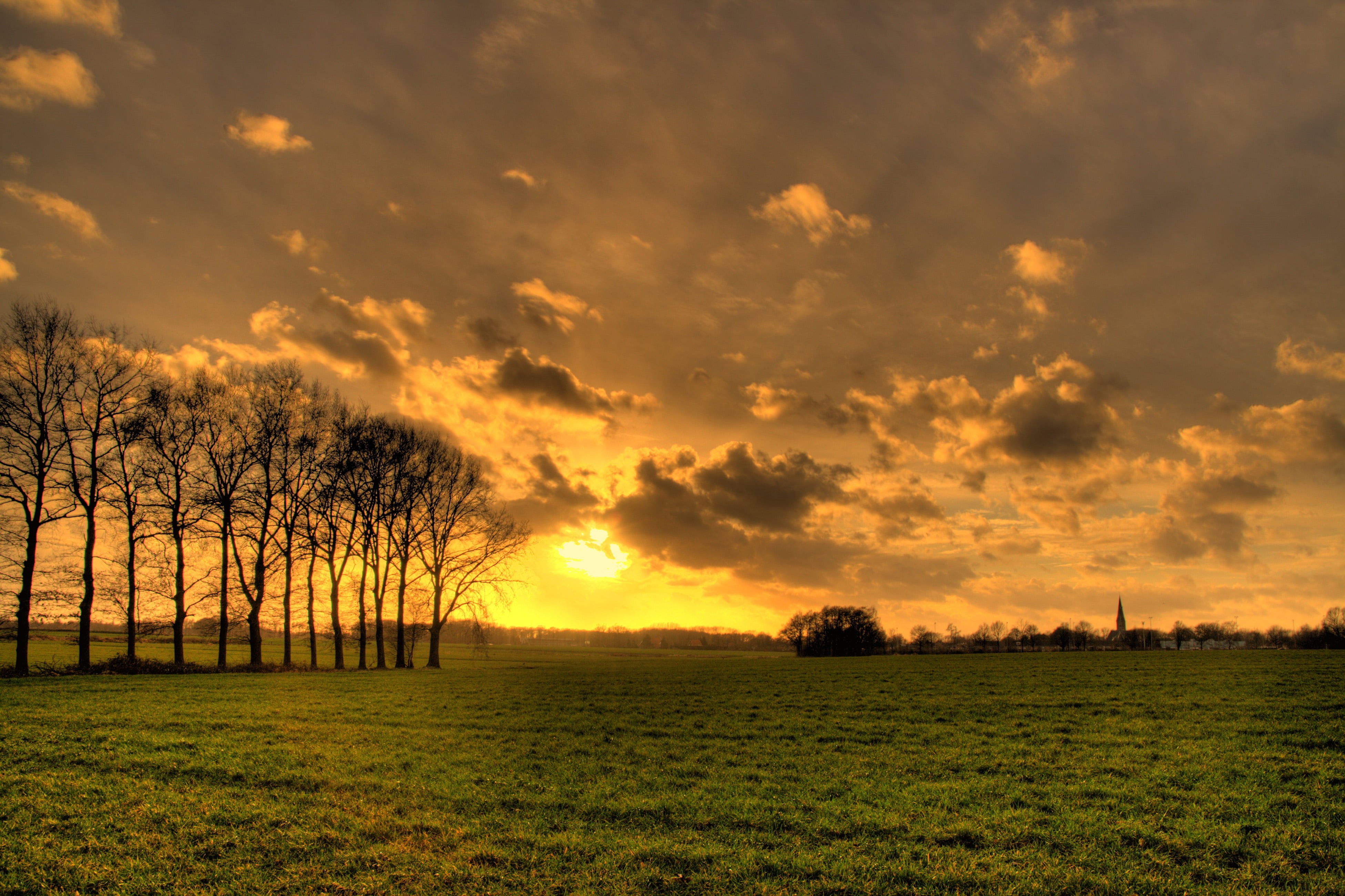 Dusk, Sunset, Nature, Holland, Twente, Sun, Scenics, Grass, Meadow ...