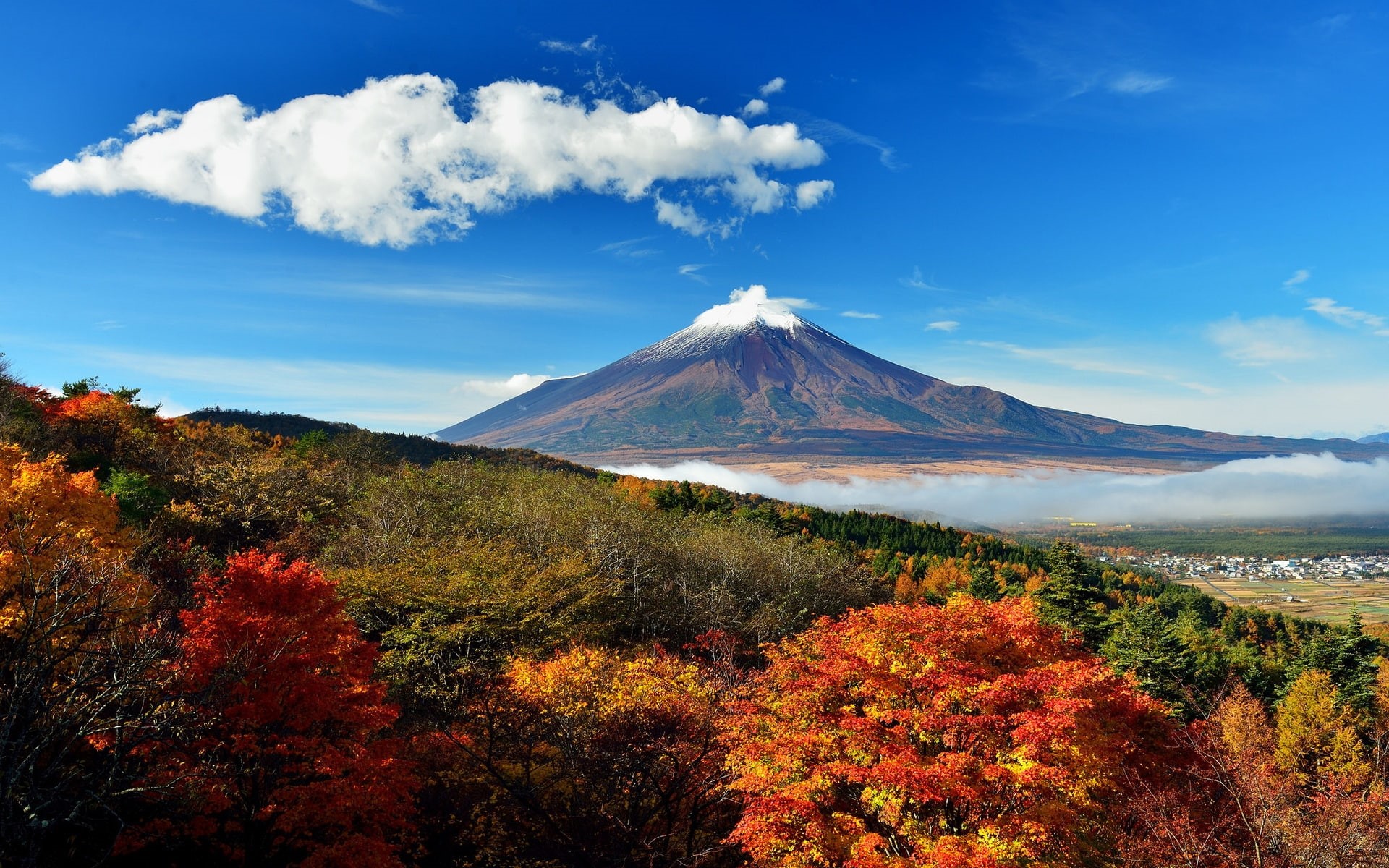 autumn, 1080P, trees, mountain, volcanic, landscape, sky, clouds, mount ...