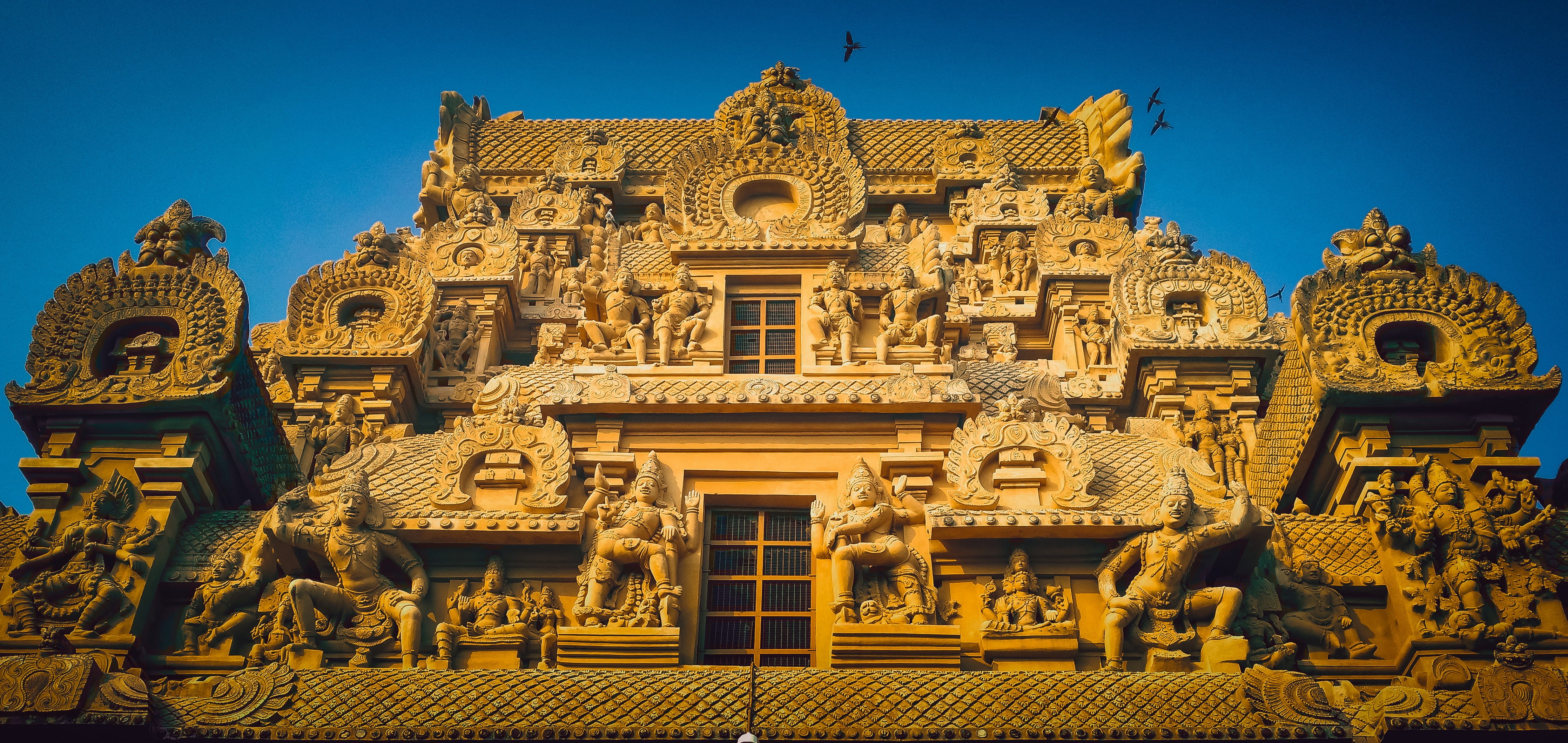building, tanjore, madras, religion, birds, architecture, place of ...