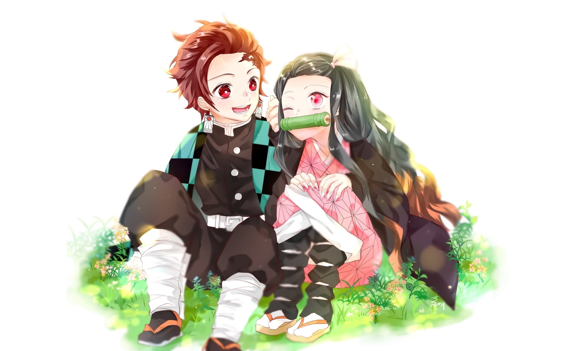 Demon Slayer: Kimetsu no Yaiba, Nezuko Kamado, Tanjirou Kamado, Anime ...