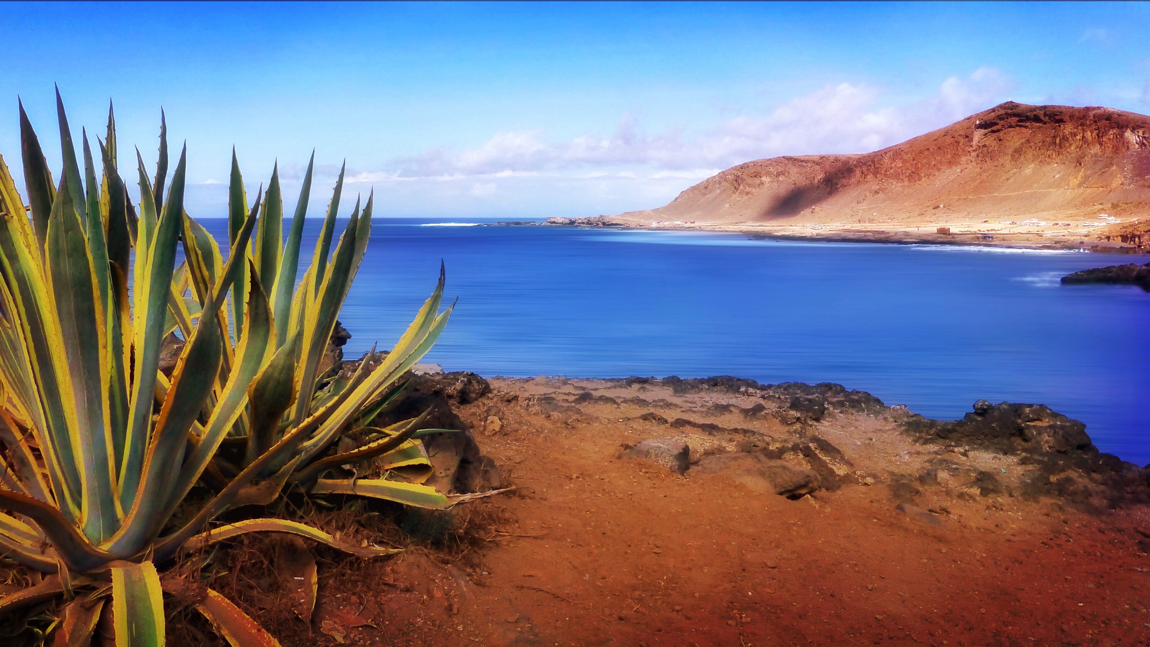 4K, Coast, scenics, gran, Beach, Sea Canary, nature, snake, sand, sea ...