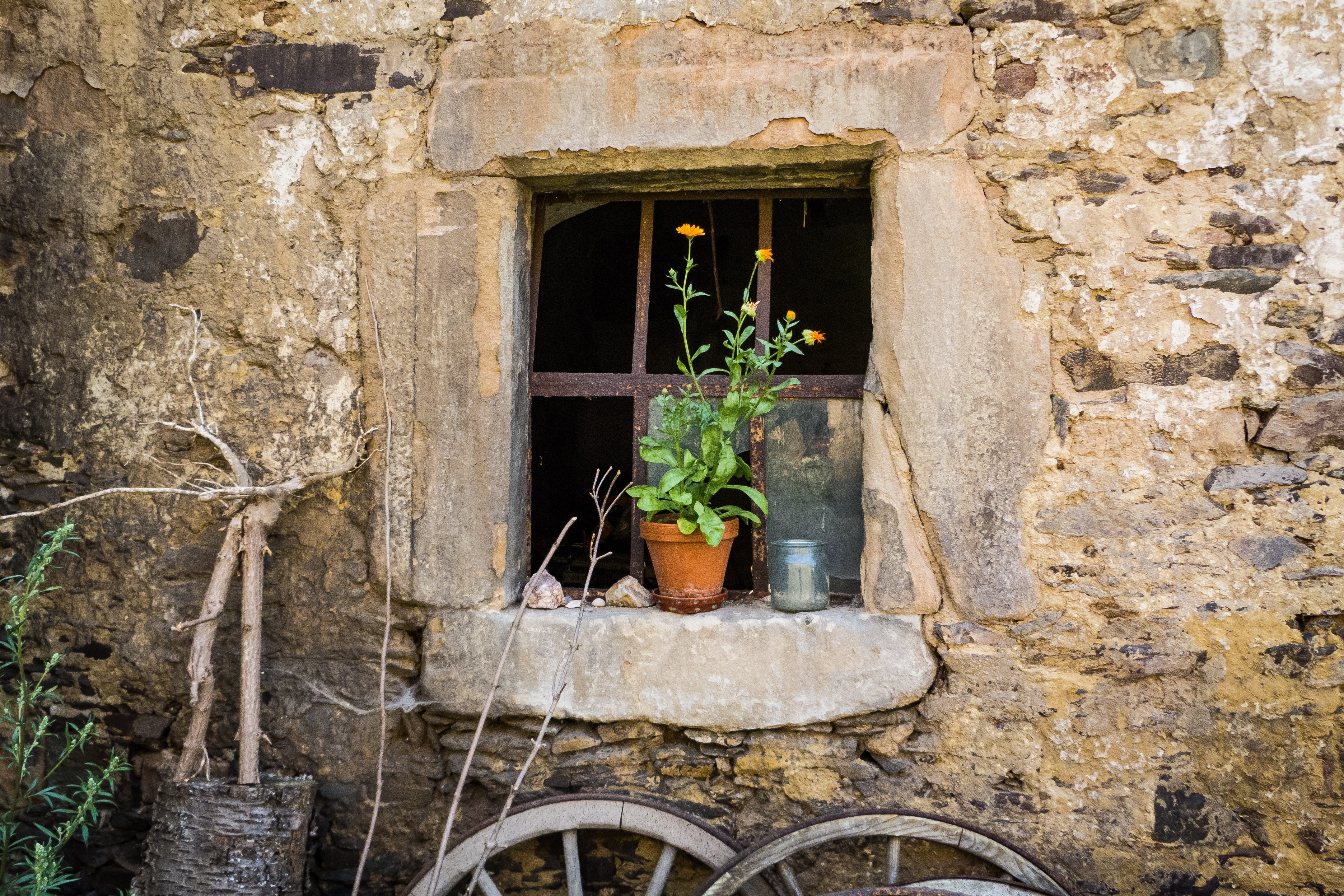 old building, pot, weathered, built structure, house facade ...