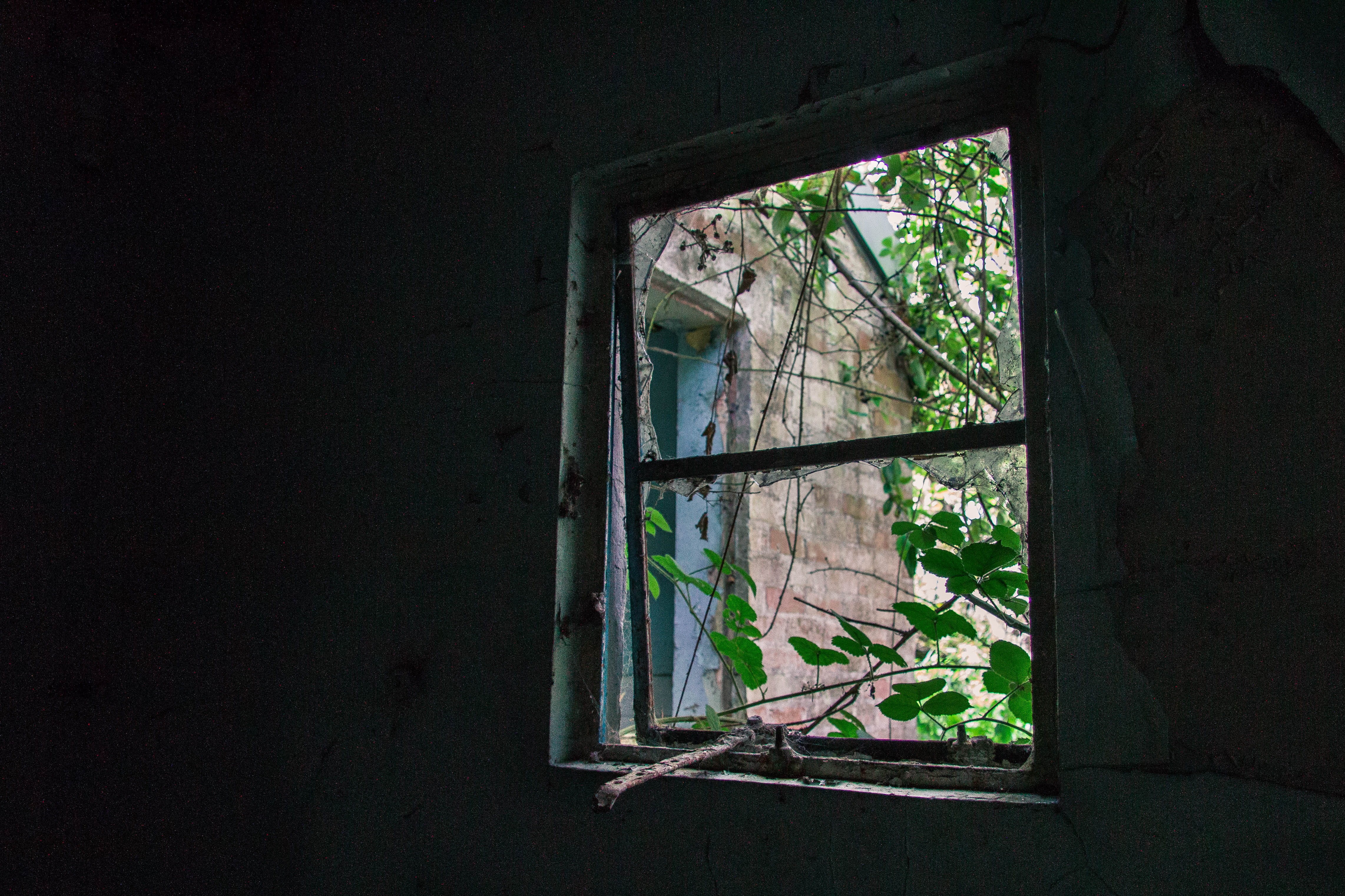 Green, Urban Exploring, Window Frame, Window, Scene, Bad Condition ...