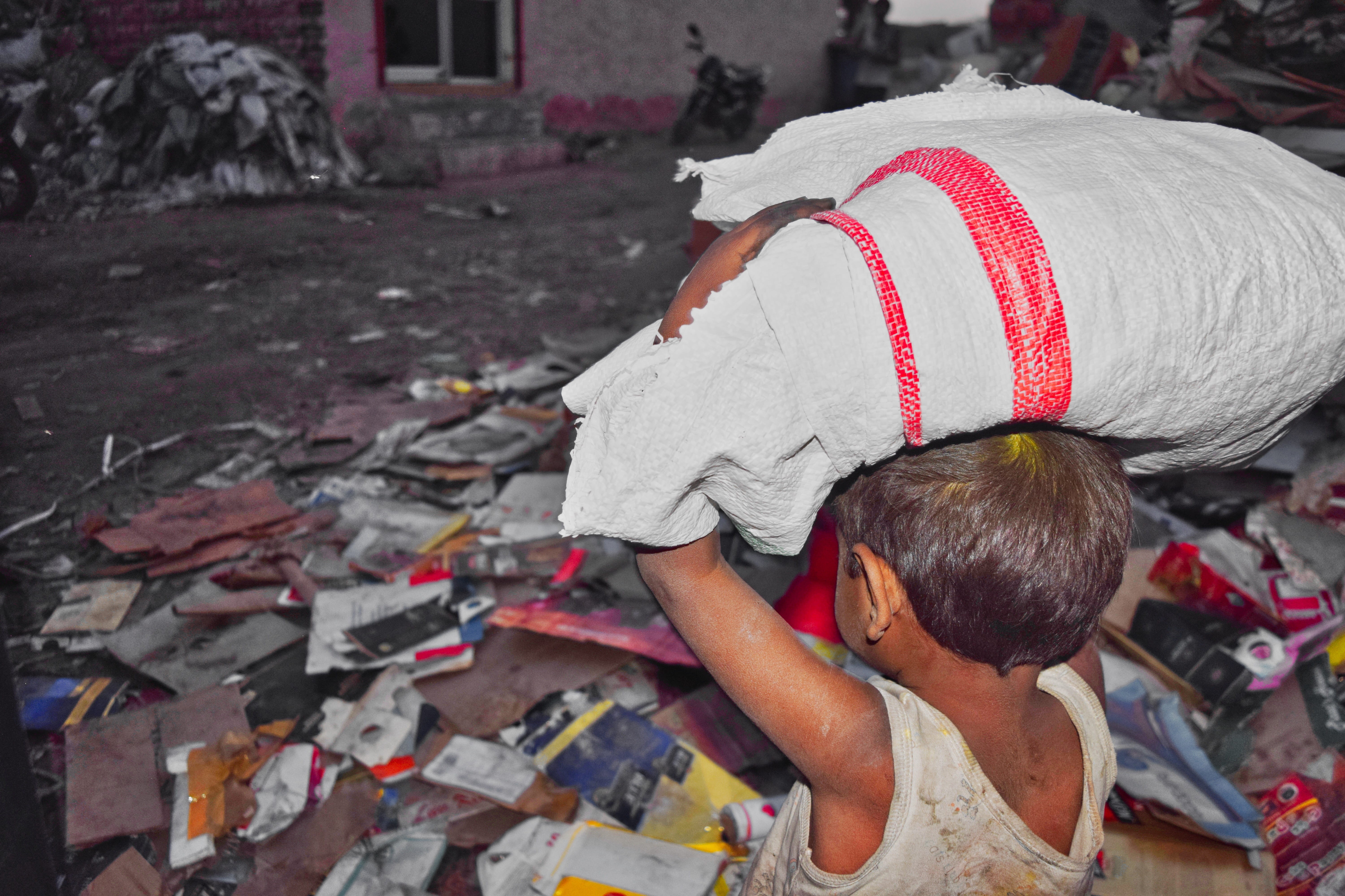 males, labor, india, boy, poor, little, childhood, rear view, help ...
