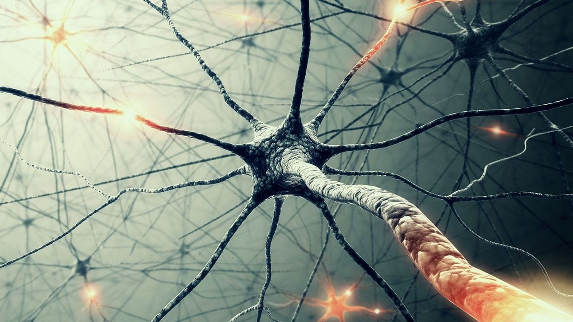 Wallpaper ID: 602394 / cells, hd, 1080P, microscopic, biology, neurons ...