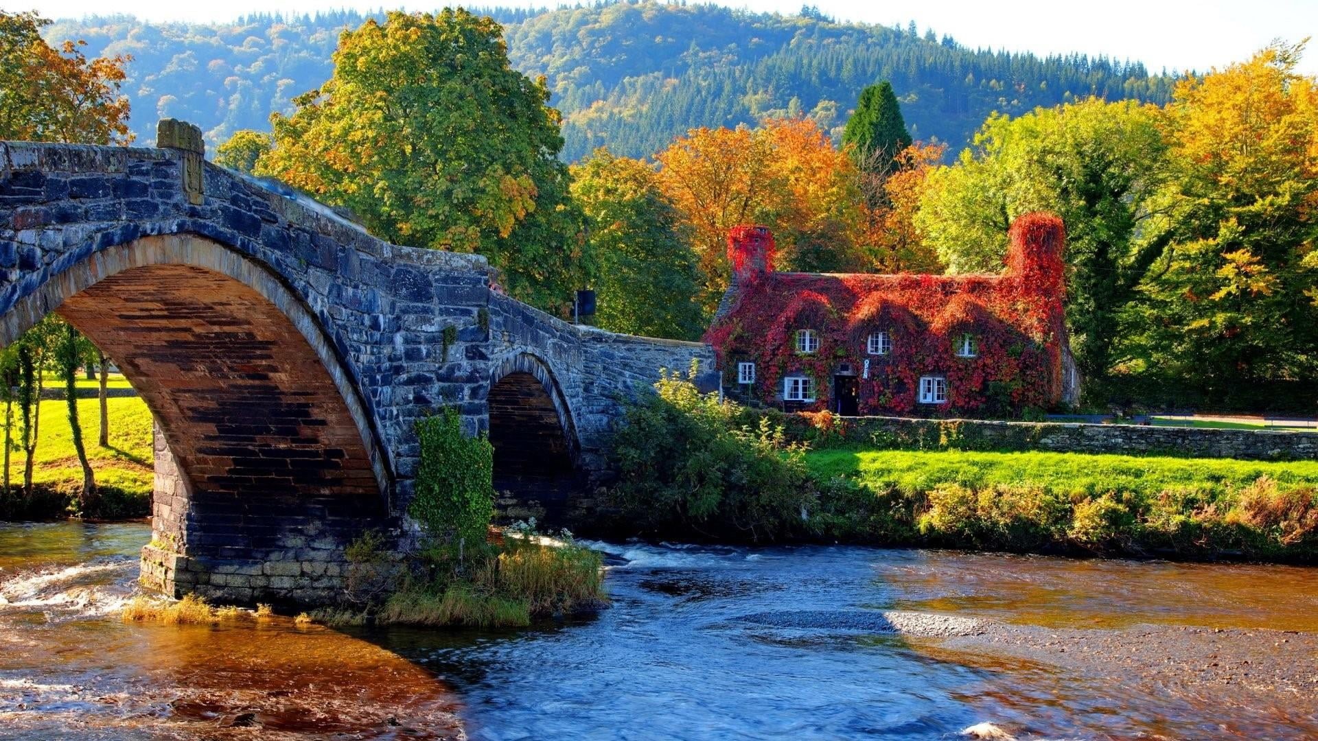 scenics - nature, snowdonia, water, wales, tree, day, arch bridge ...