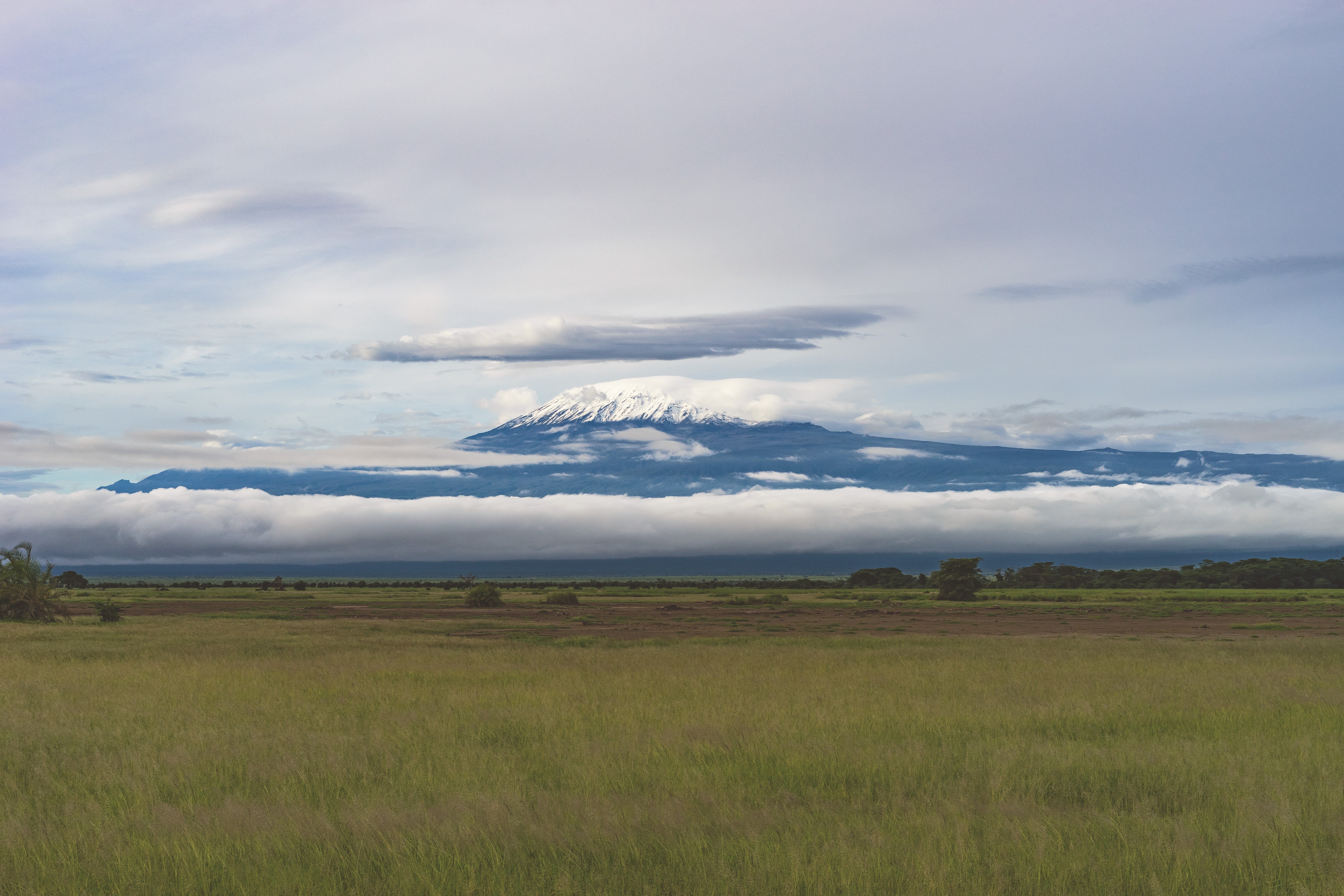 nature, 5K, green color, plain, remote, land, day, idyllic, environment ...