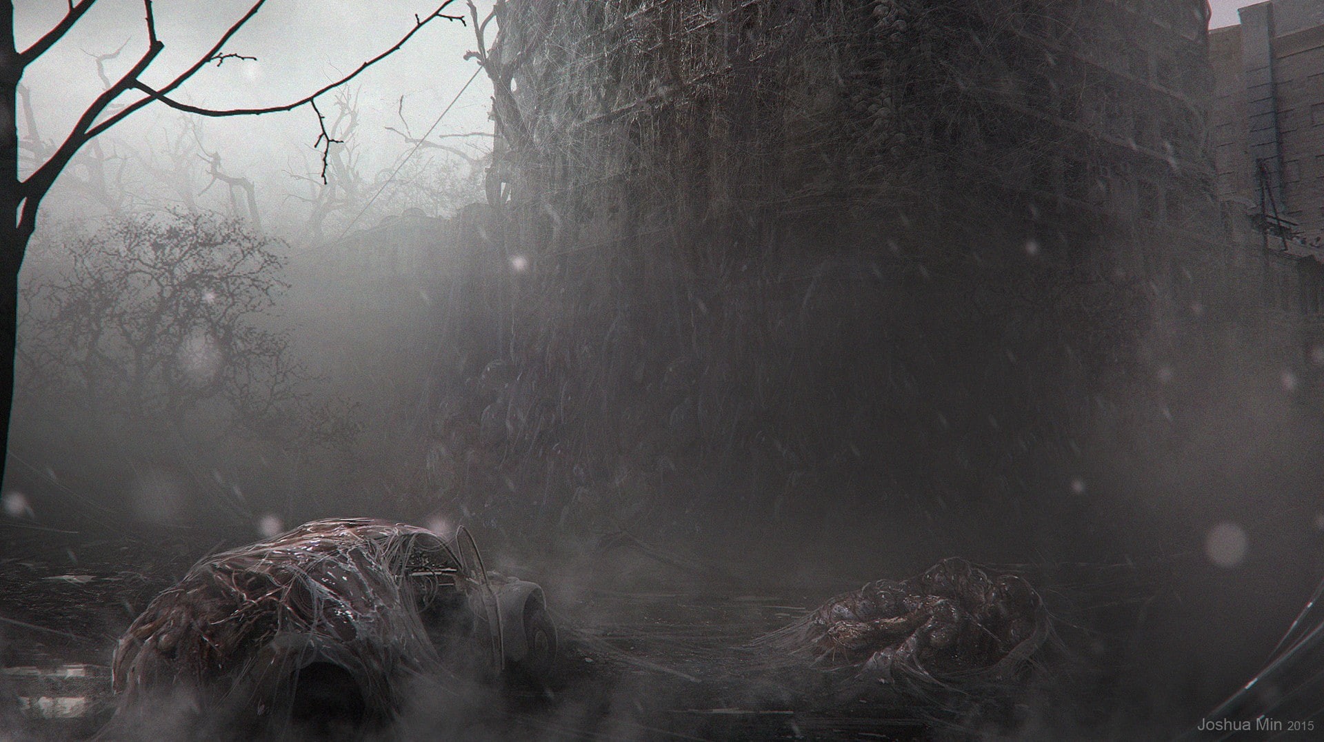 animal themes, environment, no people, land, animal wildlife, forest ...