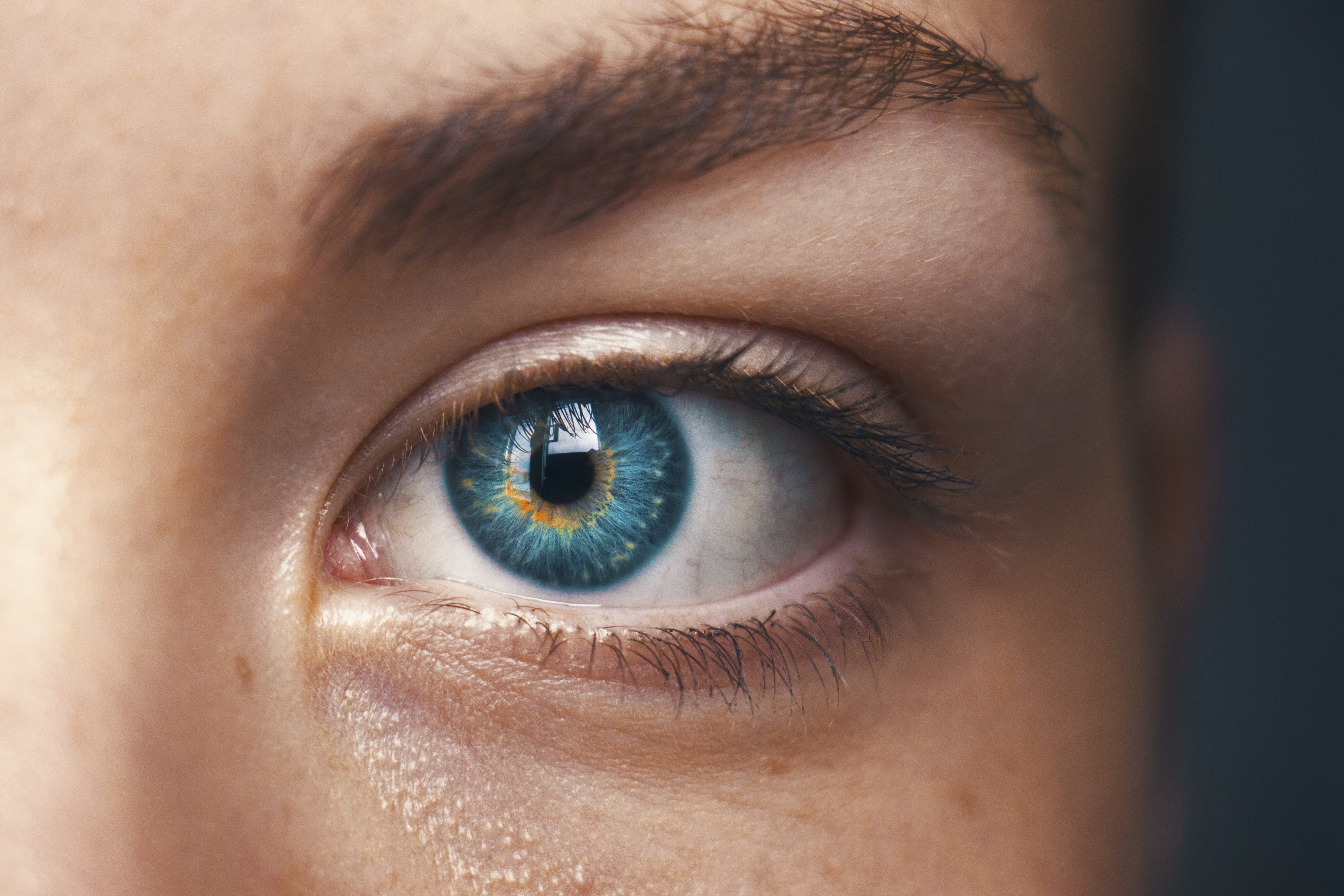 eyed, females, focus, left, iris - Eye, close, beautiful people, no ...