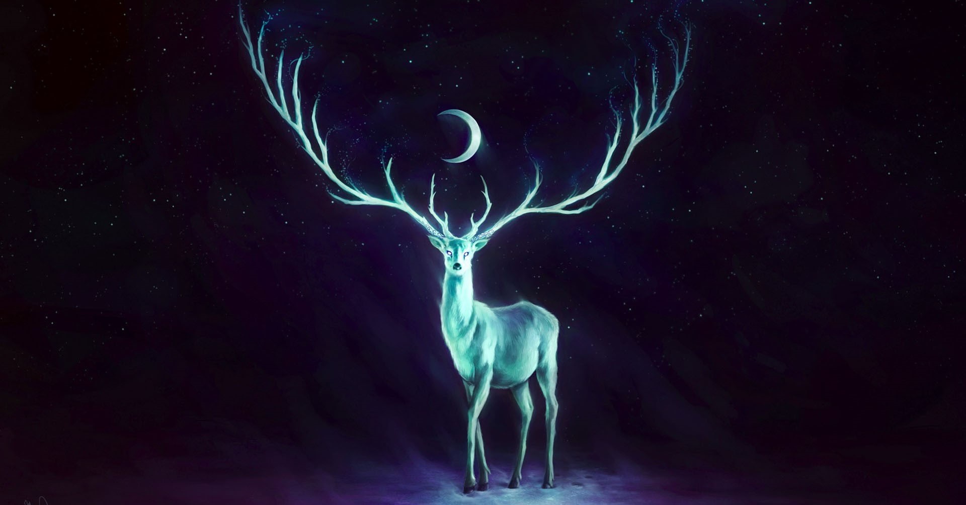 space, 1080P, animal wildlife, astronomy, water, beauty in nature ...