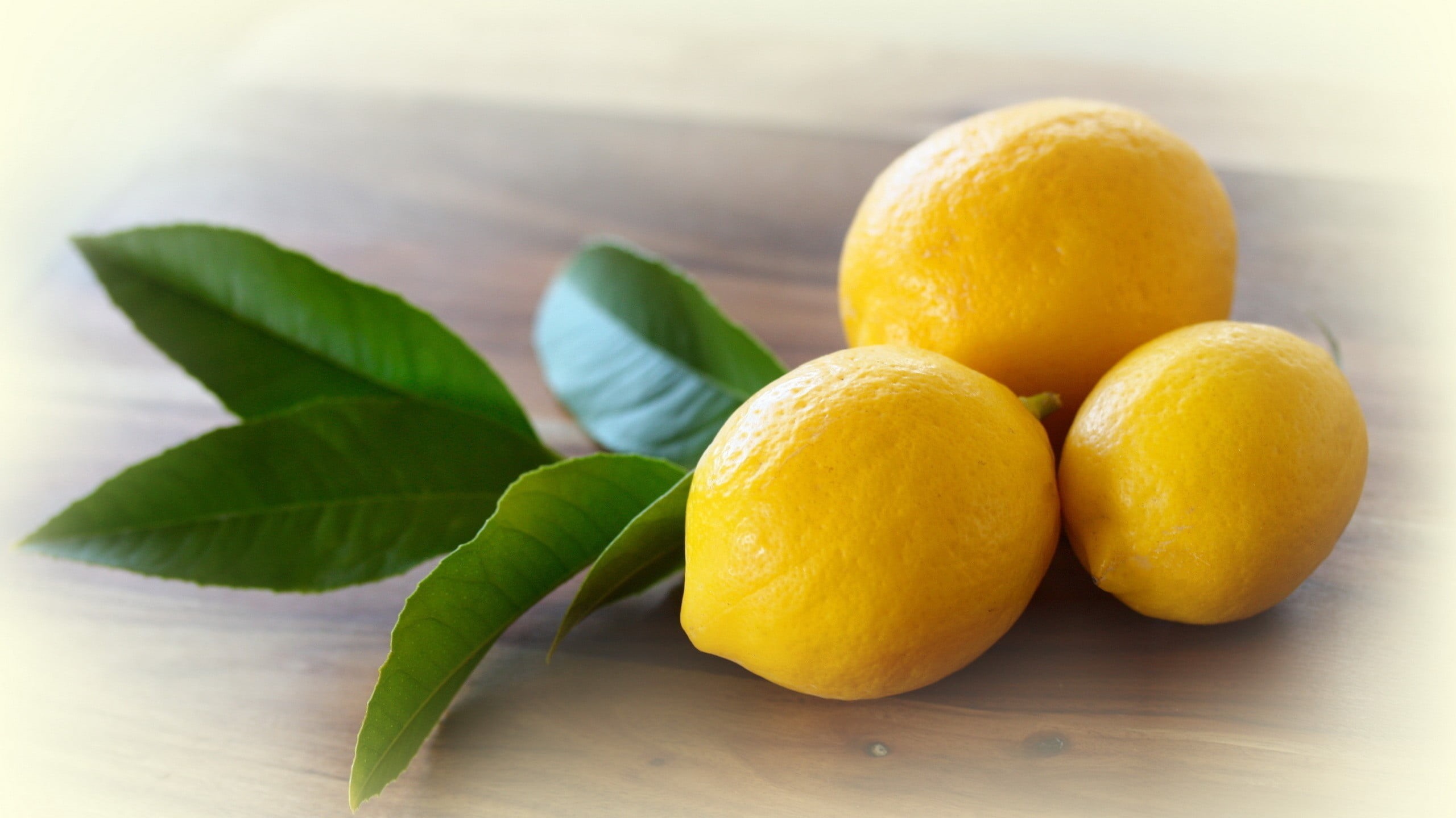 lemons, food and drink, food, citrus fruit, group of objects, freshness ...